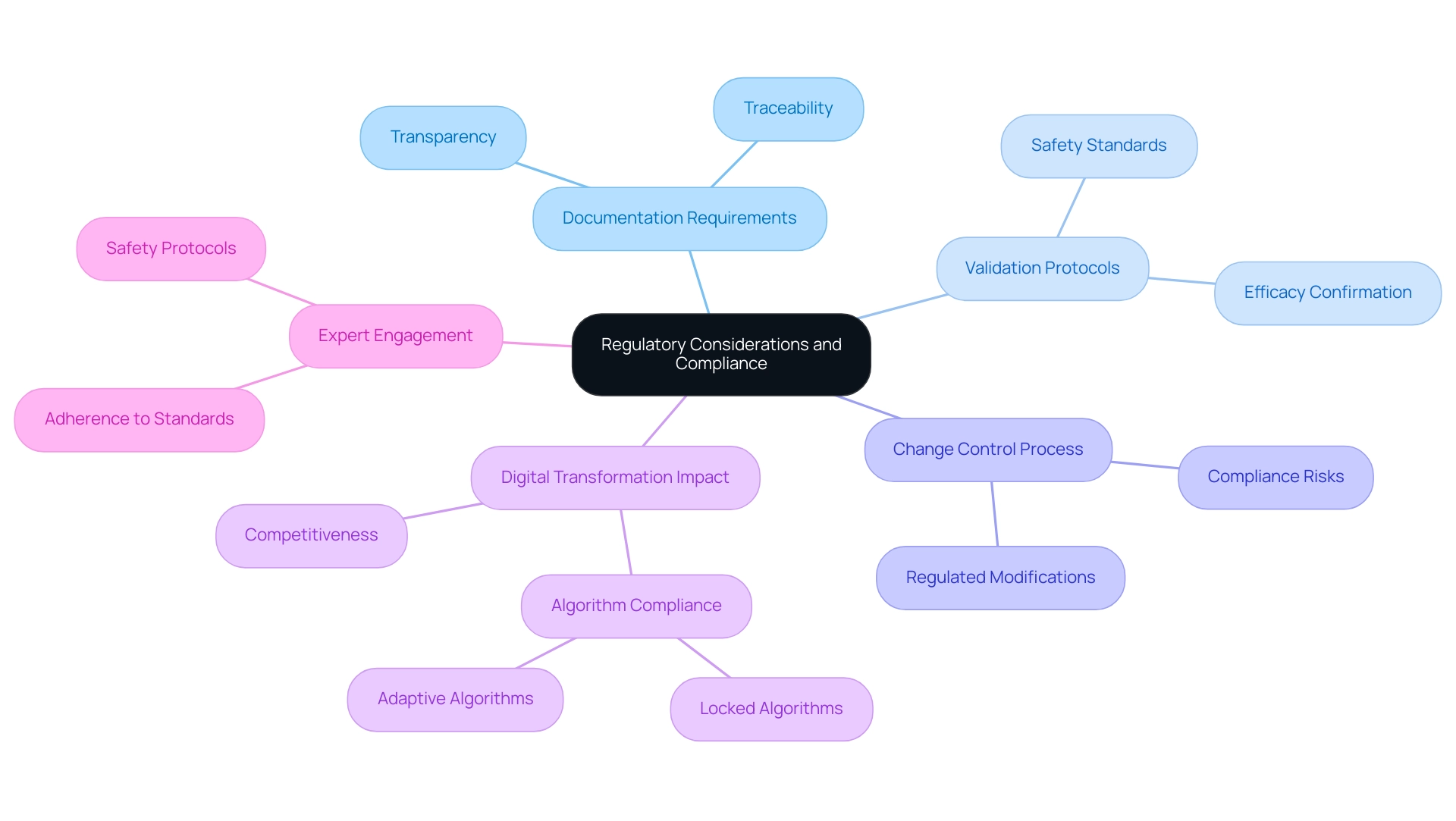 The central node represents the overall regulatory considerations, with branches showing specific areas of focus and their subtopics.