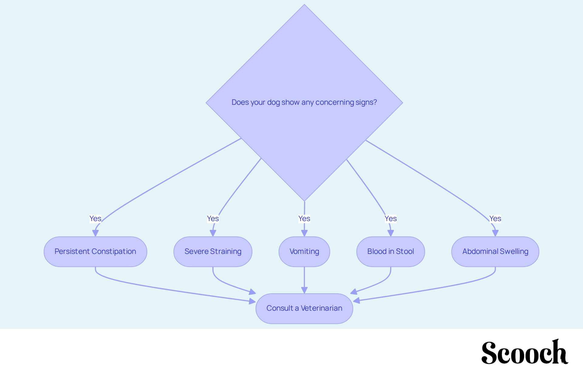 Follow the arrows to see if your dog's symptoms indicate a need for a vet visit. Each sign leads you to take action for your dog's health.