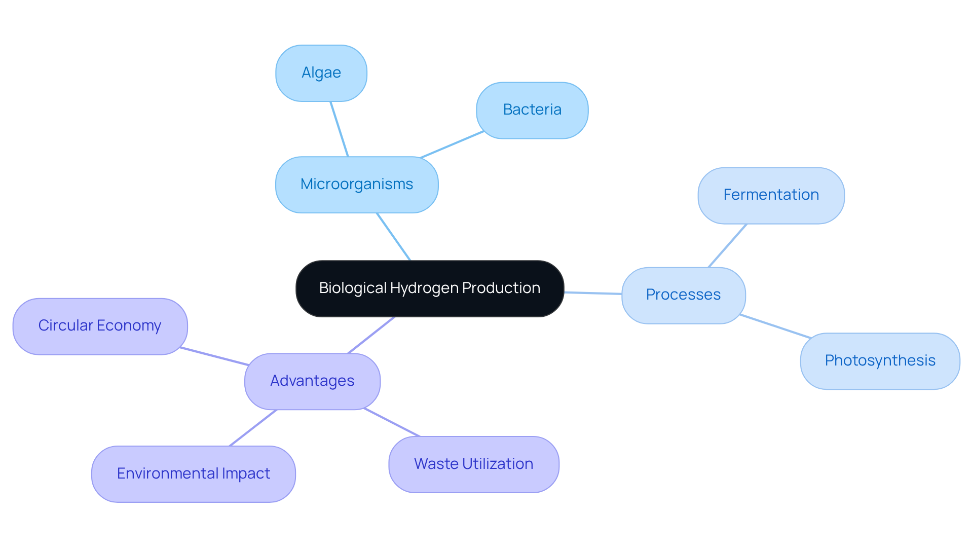 The center represents the main topic of hydrogen production, while the branches show the microorganisms involved, the processes they use, and the benefits of this sustainable approach. Follow the branches to explore how each part contributes to the overall concept. The center represents the main topic of hydrogen production, while the branches show the microorganisms involved, the processes they use, and the benefits of this sustainable approach. Follow the branches to explore how each part contributes to the overall concept.