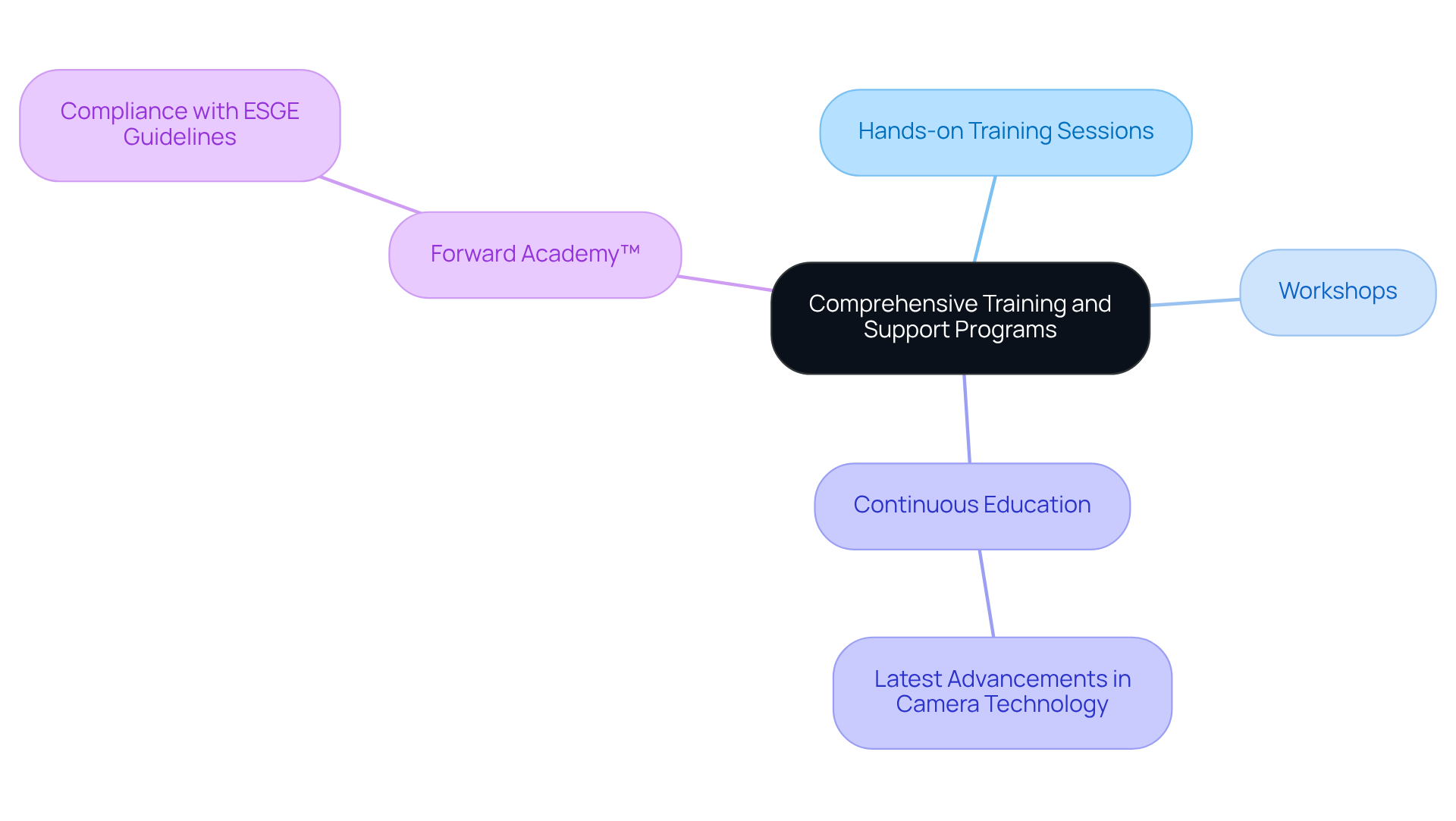 The center represents the main focus on training and support, while the branches show different initiatives that help healthcare professionals use Pentax's tools effectively. Each color-coded branch highlights a specific area of training.