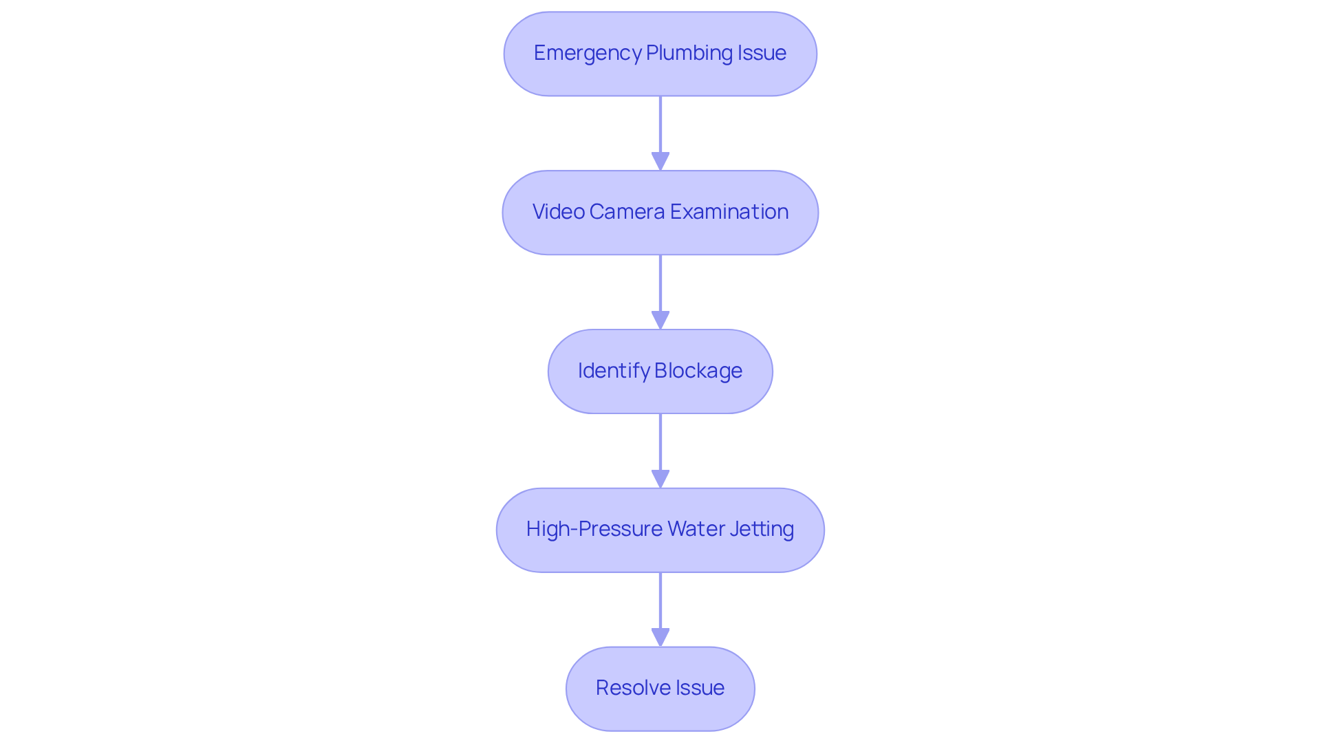 This flowchart shows the steps an emergency plumber takes to resolve plumbing issues. Start with the problem, follow the arrows to see how they identify and fix it using advanced tools.