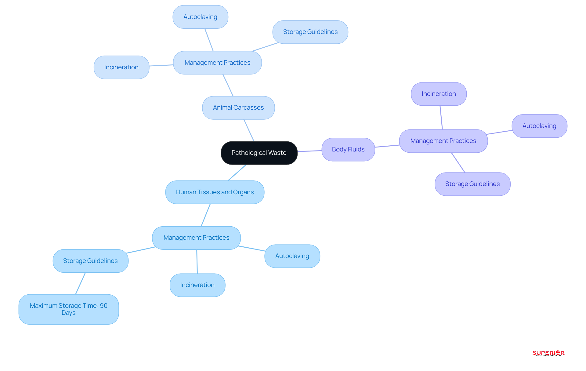 Best Practices for Pathological Waste Disposal in Healthcare Facilities ...