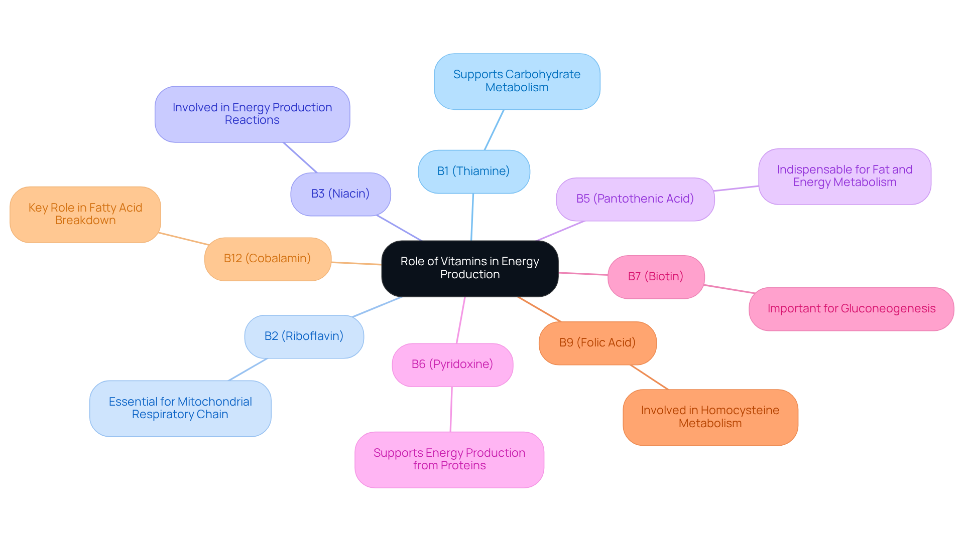 The central node represents the overall theme of vitamins and energy. Each branch shows a specific B vitamin, and the sub-branches explain how they help our body produce energy. The colors help differentiate each vitamin for easier understanding. The central node represents the overall theme of vitamins and energy. Each branch shows a specific B vitamin, and the sub-branches explain how they help our body produce energy. The colors help differentiate each vitamin for easier understanding.