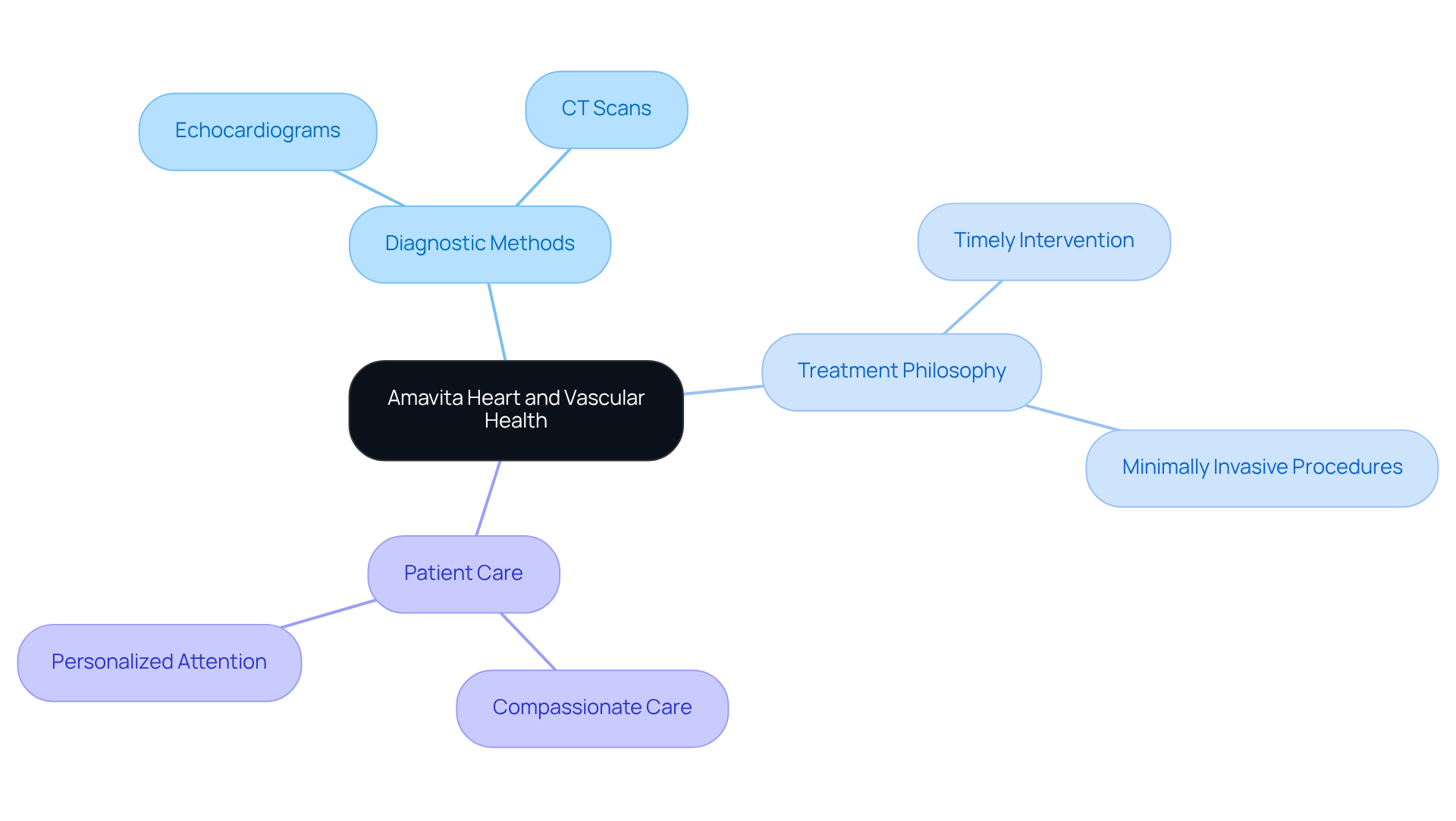 The center of the mindmap represents Amavita's focus on heart and vascular health, with branches showing how they approach diagnosis, treatment, and patient care. Each color-coded branch highlights a different aspect of their services, allowing you to understand their comprehensive care model at a glance.