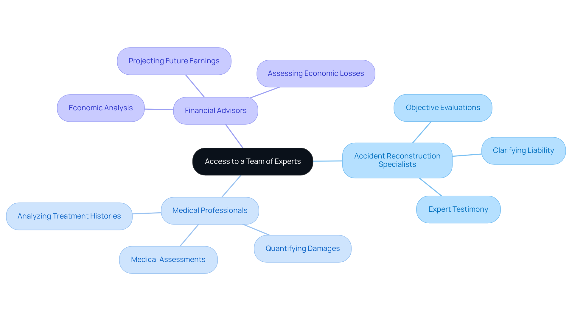 Start at the center with 'Access to a Team of Experts'. Each branch shows a type of expert, and the sub-branches detail what they do to help build strong legal cases. Start at the center with 'Access to a Team of Experts'. Each branch shows a type of expert, and the sub-branches detail what they do to help build strong legal cases.