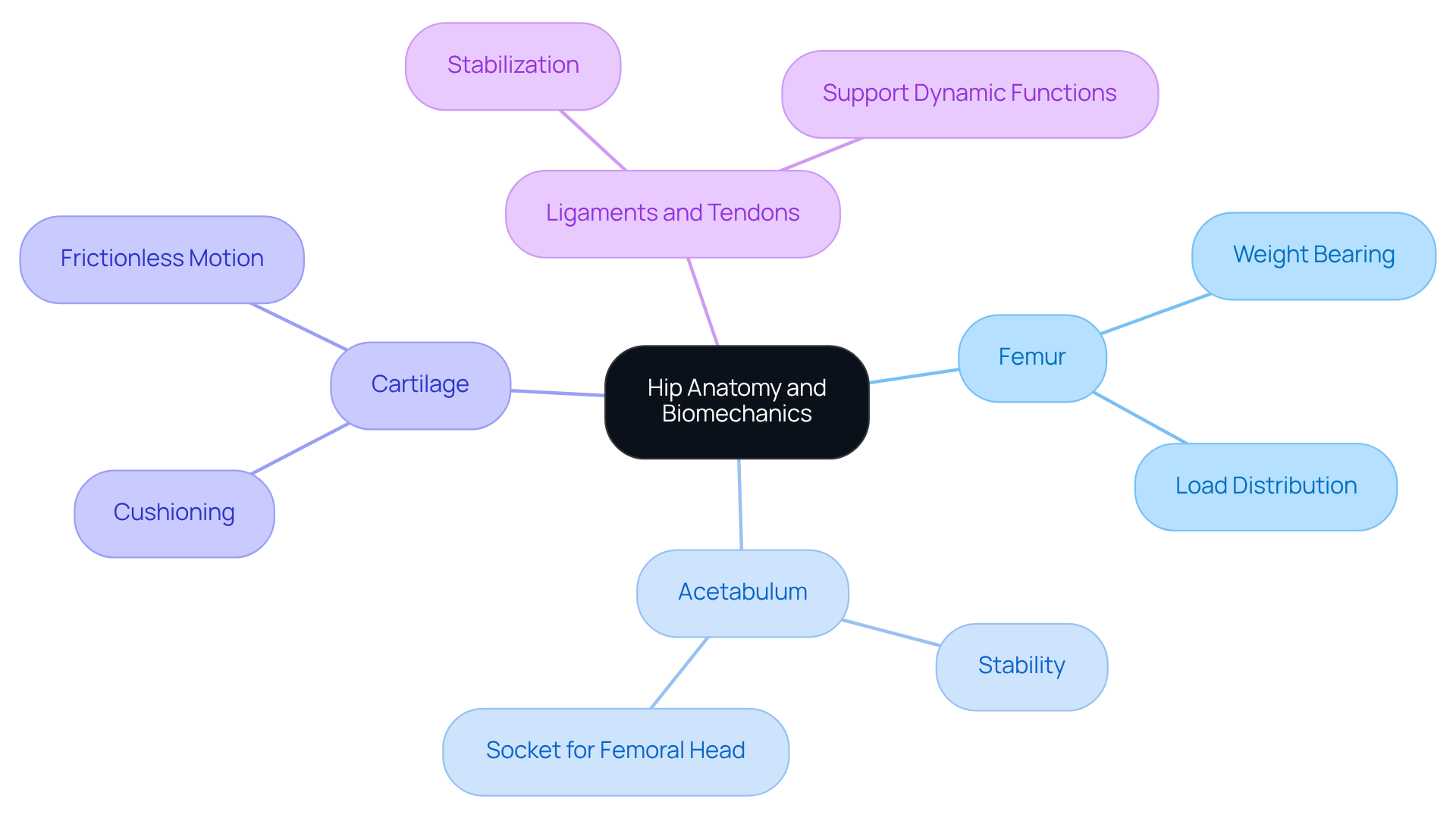 This mindmap illustrates the key components of the hip joint and their functions. Start at the center with 'Hip Anatomy and Biomechanics', then follow the branches to learn about the Femur, Acetabulum, Cartilage, and Ligaments and Tendons. Each branch shows how these parts contribute to hip function and stability, helping you understand the complexities of hip health. This mindmap illustrates the key components of the hip joint and their functions. Start at the center with 'Hip Anatomy and Biomechanics', then follow the branches to learn about the Femur, Acetabulum, Cartilage, and Ligaments and Tendons. Each branch shows how these parts contribute to hip function and stability, helping you understand the complexities of hip health.