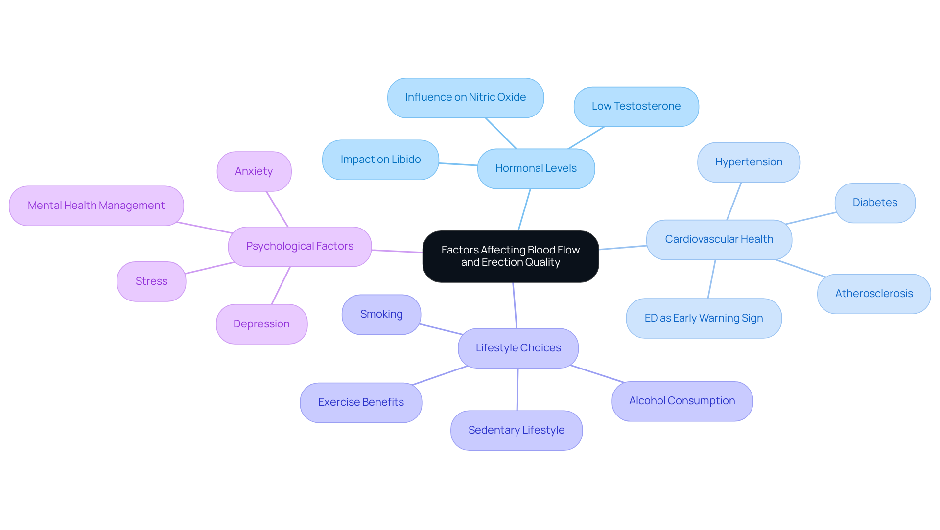 The center of the mindmap shows the main topic, while the branches represent different factors that can affect blood flow and erection quality. Each branch contains important details about how that factor influences sexual health.