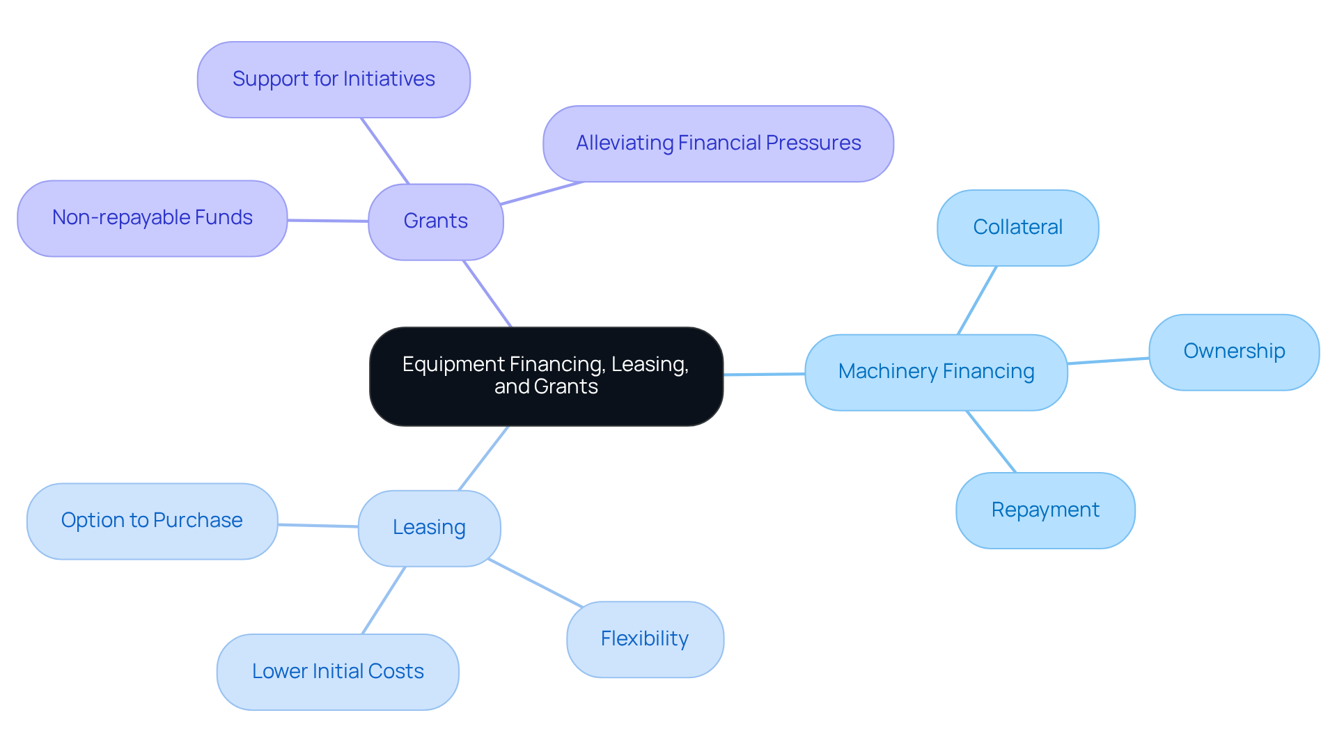 The central node represents the main topic, while the branches show different financing options. Each sub-branch provides specific details about that option, helping you understand how they differ and relate to each other.