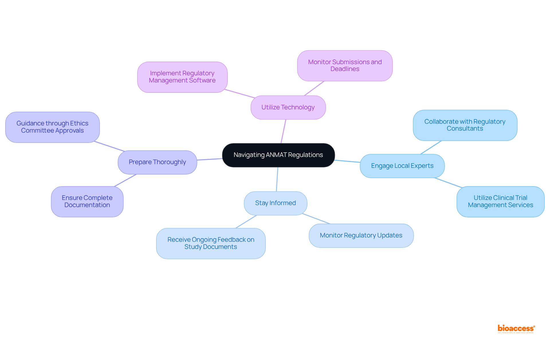 The central node represents the main goal, with each branch outlining a specific strategy. Follow the branches to see detailed actions for effectively navigating regulations.