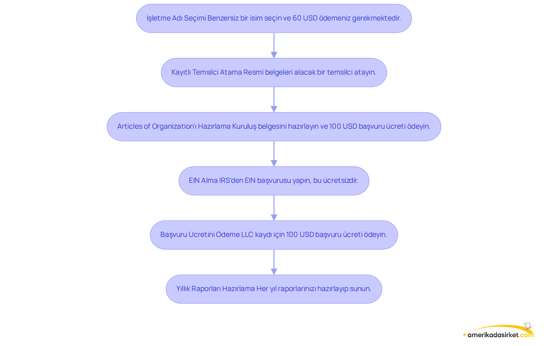 Her kutu, LLC kurma sürecindeki bir adımı temsil eder. Oklar, adımların hangi sırayla takip edilmesi gerektiğini gösterir. Süreci takip ederek, LLC'nizi başarılı bir şekilde kurabilirsiniz.