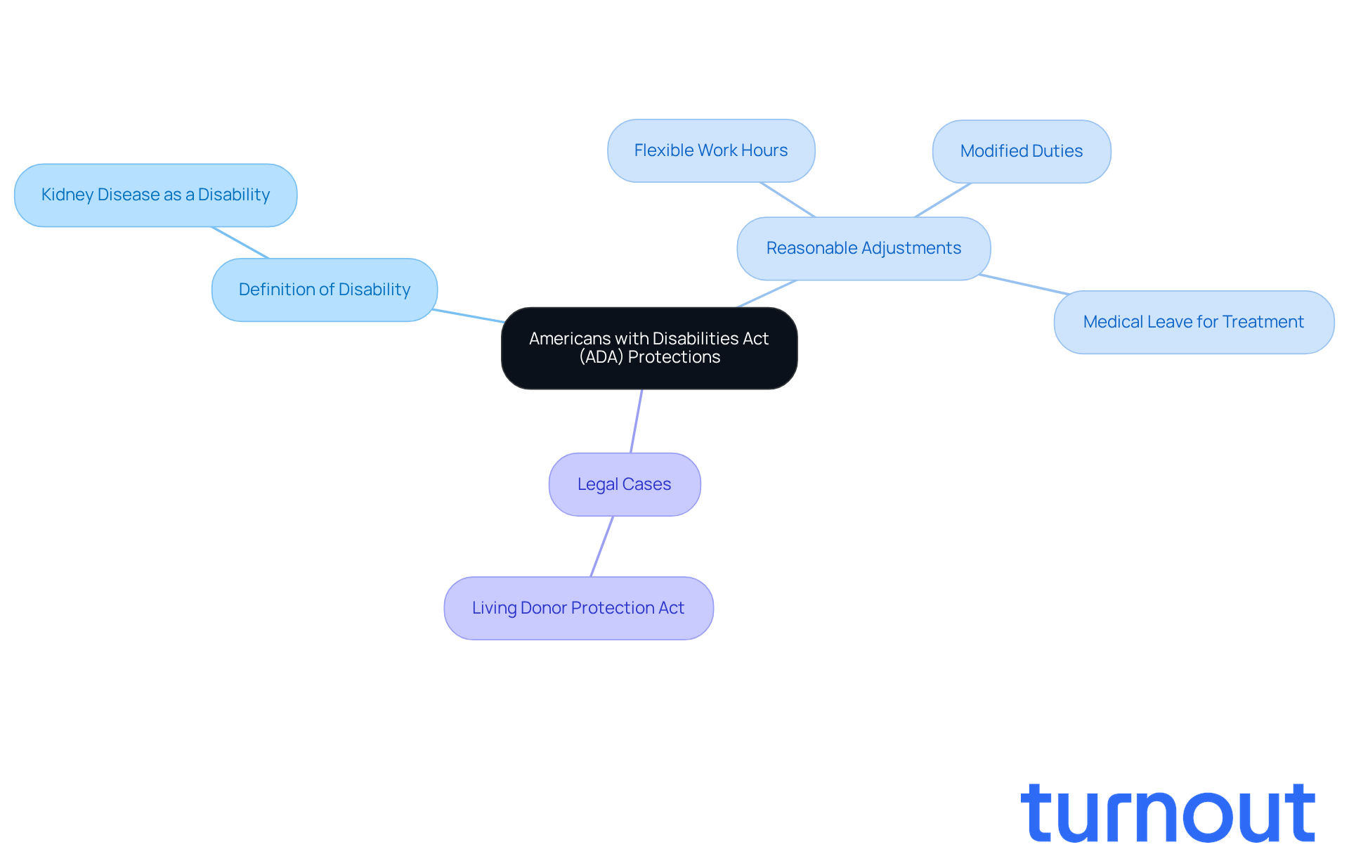 The central node represents the ADA, with branches showing definitions, workplace adjustments, and relevant legal cases. Each branch helps you see how kidney disease is protected under the law.