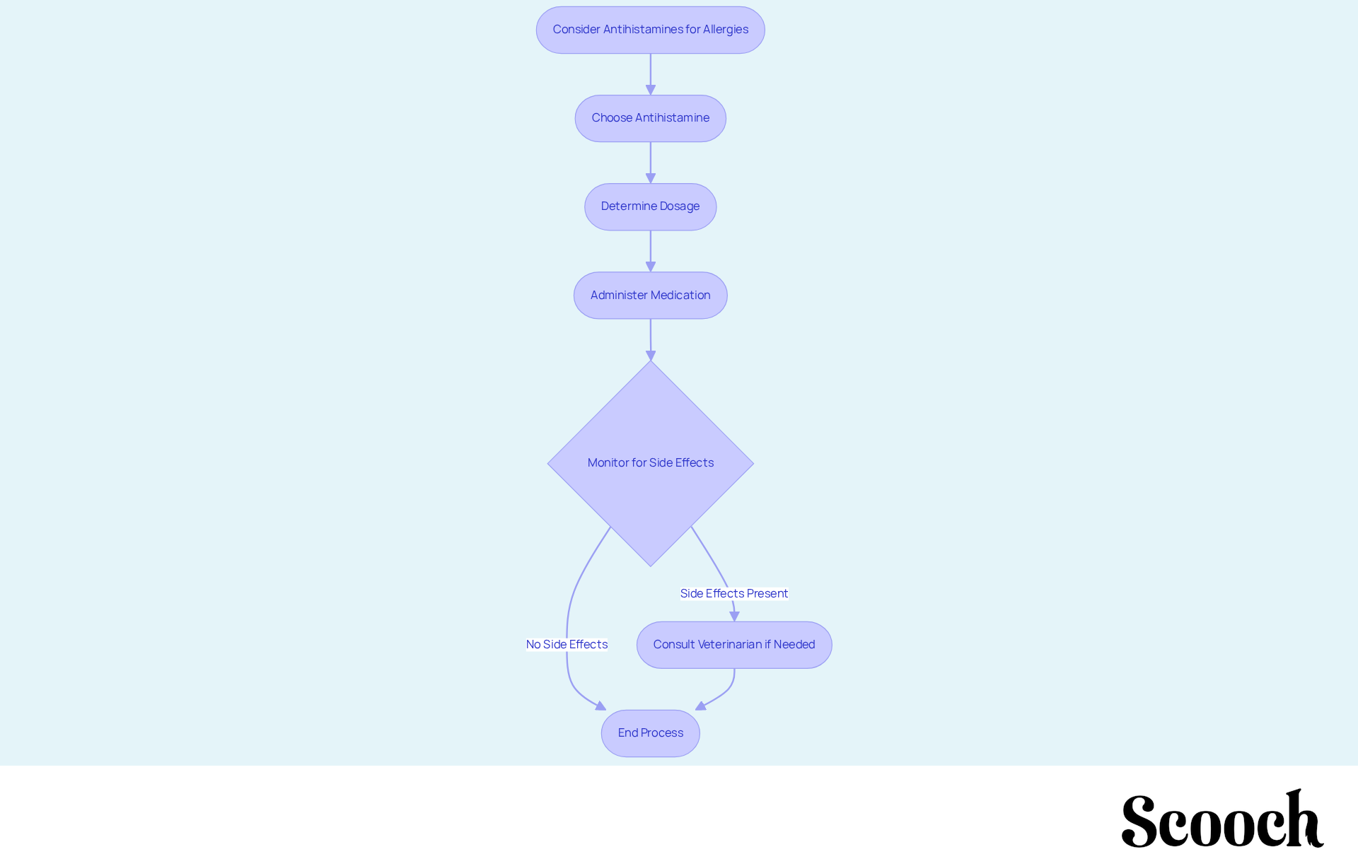 Follow the flow from considering antihistamines to administering them and monitoring your dog's response. Each step guides you through the process, ensuring you know when to seek veterinary advice.