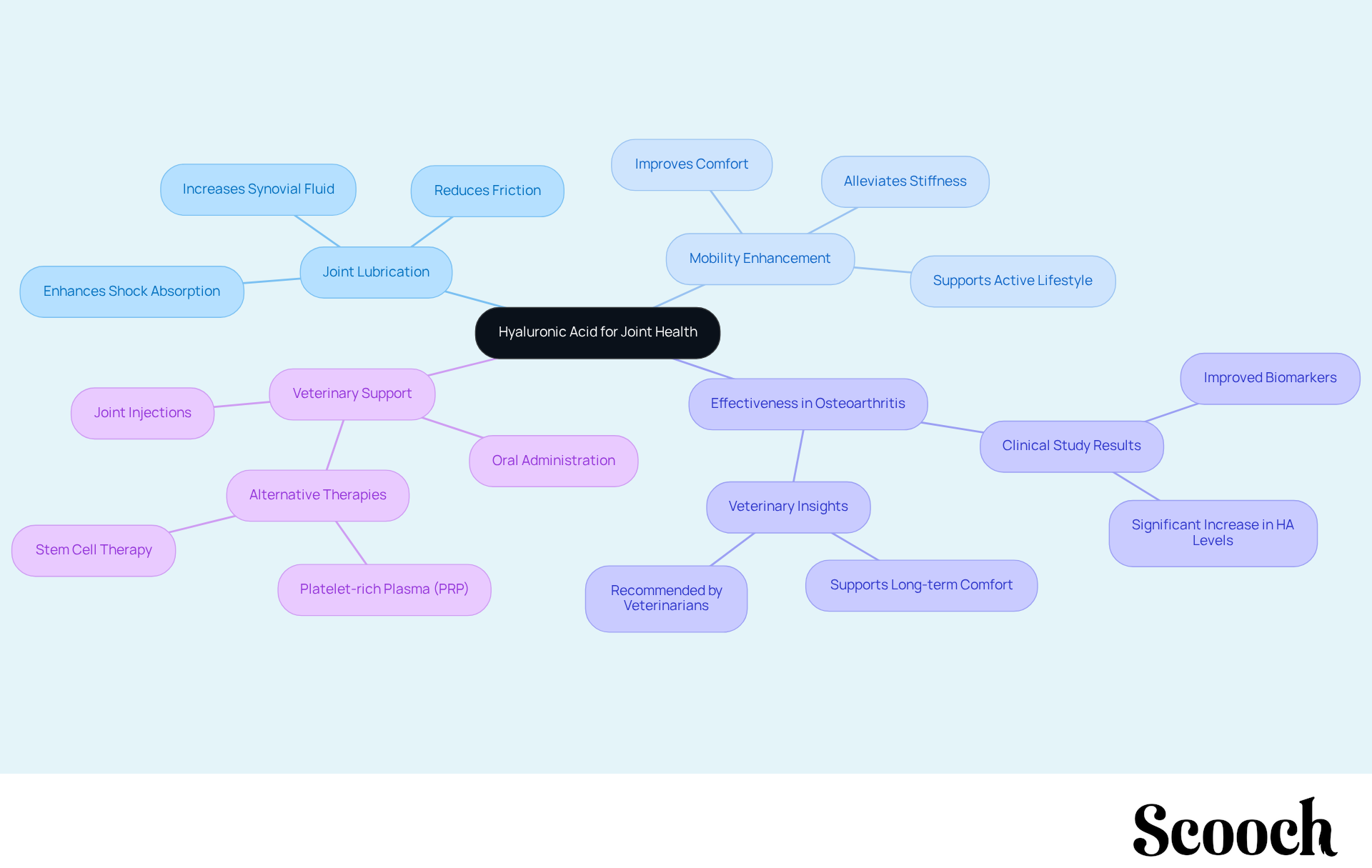 At the center is the main topic of hyaluronic acid, with branches showing how it helps with joint lubrication and mobility. Each branch leads to specific benefits, making it easy to understand how this supplement can improve your pet's quality of life.