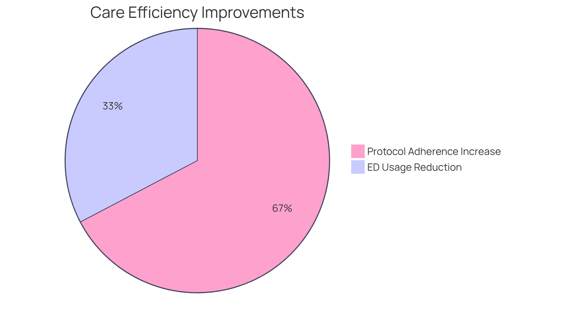 Each slice shows how much the software has improved care efficiency - the blue slice indicates the percentage reduction in emergency visits, while the green slice shows the increase in adherence to protocols.