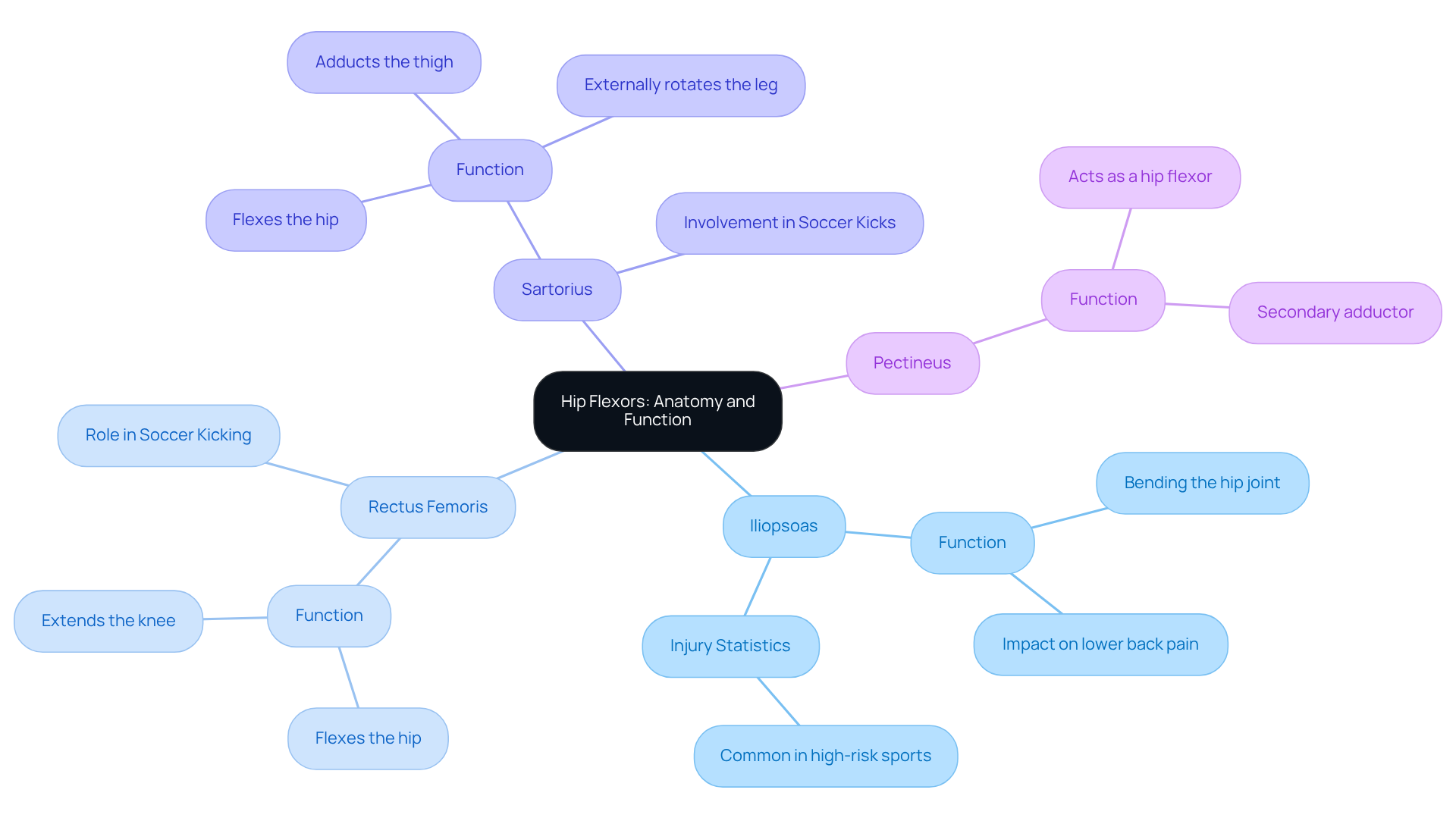 This mindmap starts with the main topic of hip flexors at the center. Each branch represents a specific muscle, and the sub-branches explain their functions and importance. This layout helps you see how these muscles work together and their impact on movement and discomfort. This mindmap starts with the main topic of hip flexors at the center. Each branch represents a specific muscle, and the sub-branches explain their functions and importance. This layout helps you see how these muscles work together and their impact on movement and discomfort.