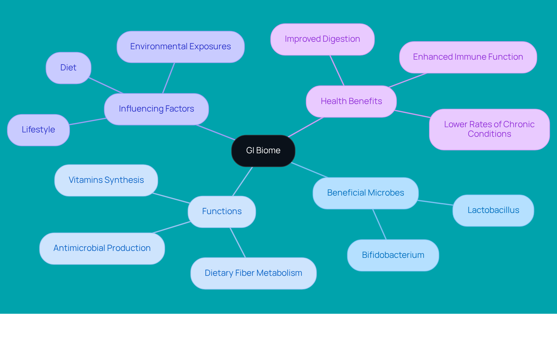 The central node represents the GI biome, with branches showing key components, their functions, and factors that impact gut health. Each color-coded area helps you visualize how these elements are interrelated.