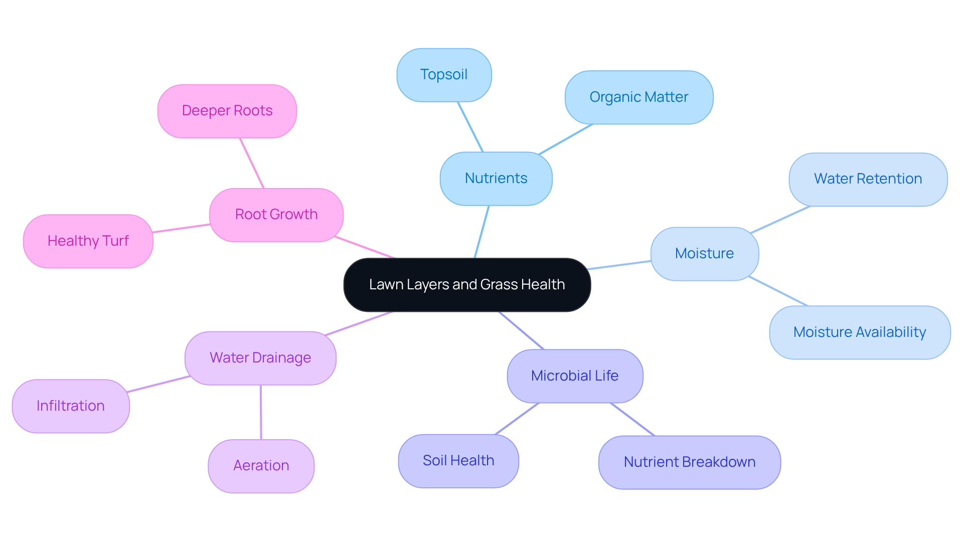 The central node represents the overall topic, while the branches show how different soil layers contribute to grass health. Each color-coded branch highlights a specific aspect, making it easy to see how they all connect.