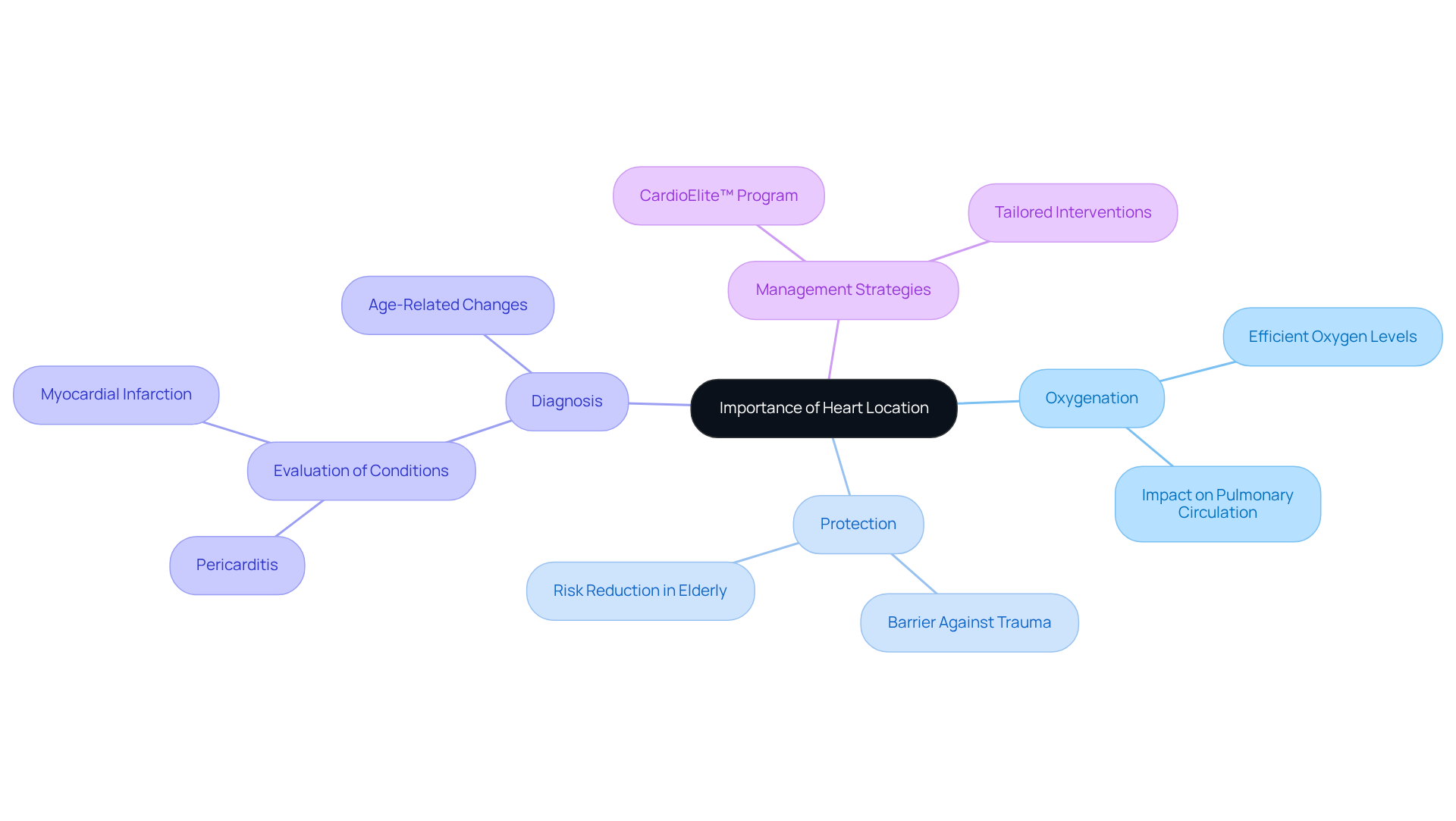 The central node represents the main topic, while the branches show related aspects of why the heart's location matters. Each color-coded branch helps you see how different factors connect to the heart's position and its implications for health.