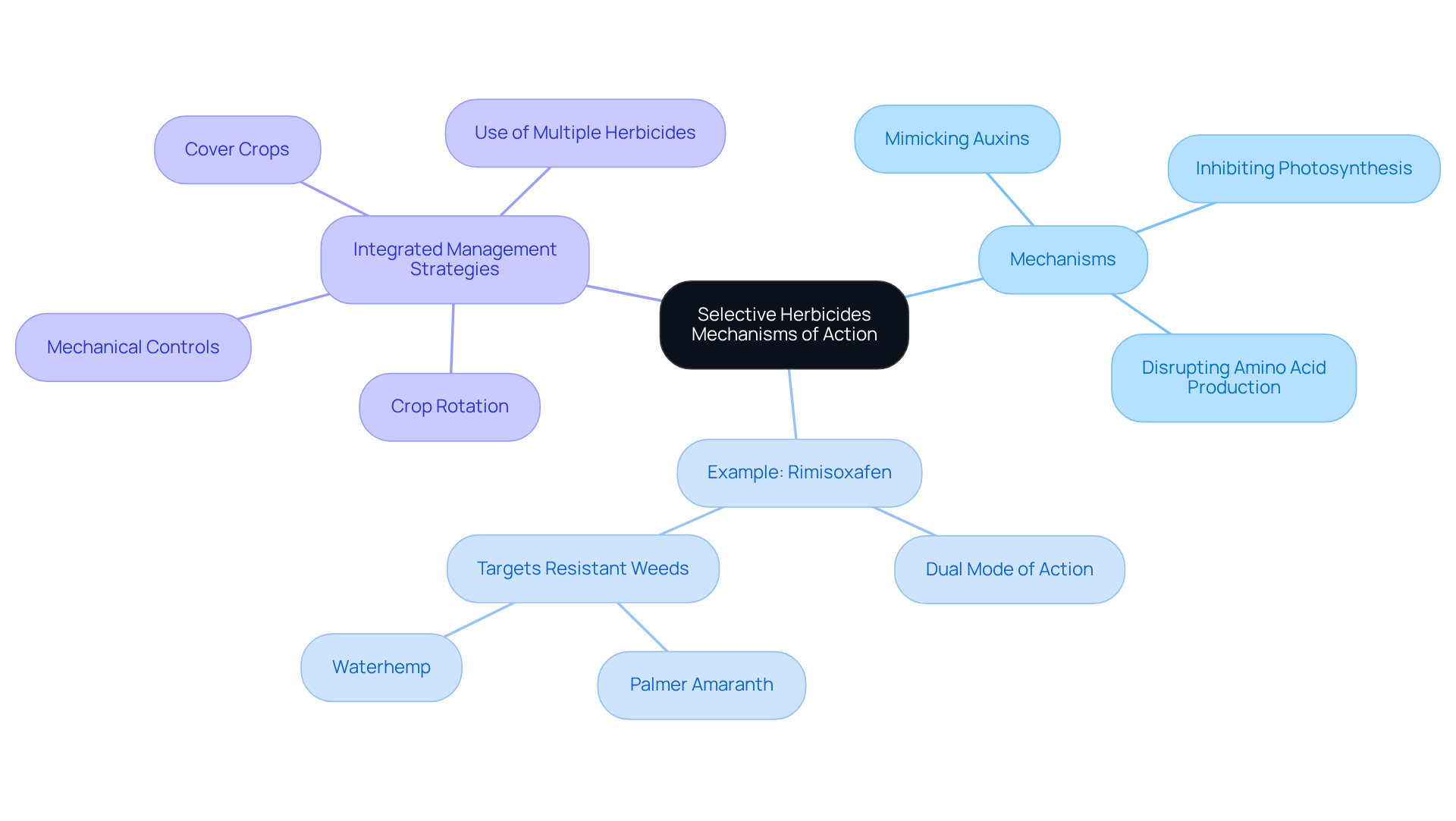 The central node represents the main topic, while the branches show different mechanisms and strategies related to selective herbicides. Each color-coded branch helps you see how these concepts connect and support the overall understanding of herbicide action. The central node represents the main topic, while the branches show different mechanisms and strategies related to selective herbicides. Each color-coded branch helps you see how these concepts connect and support the overall understanding of herbicide action.