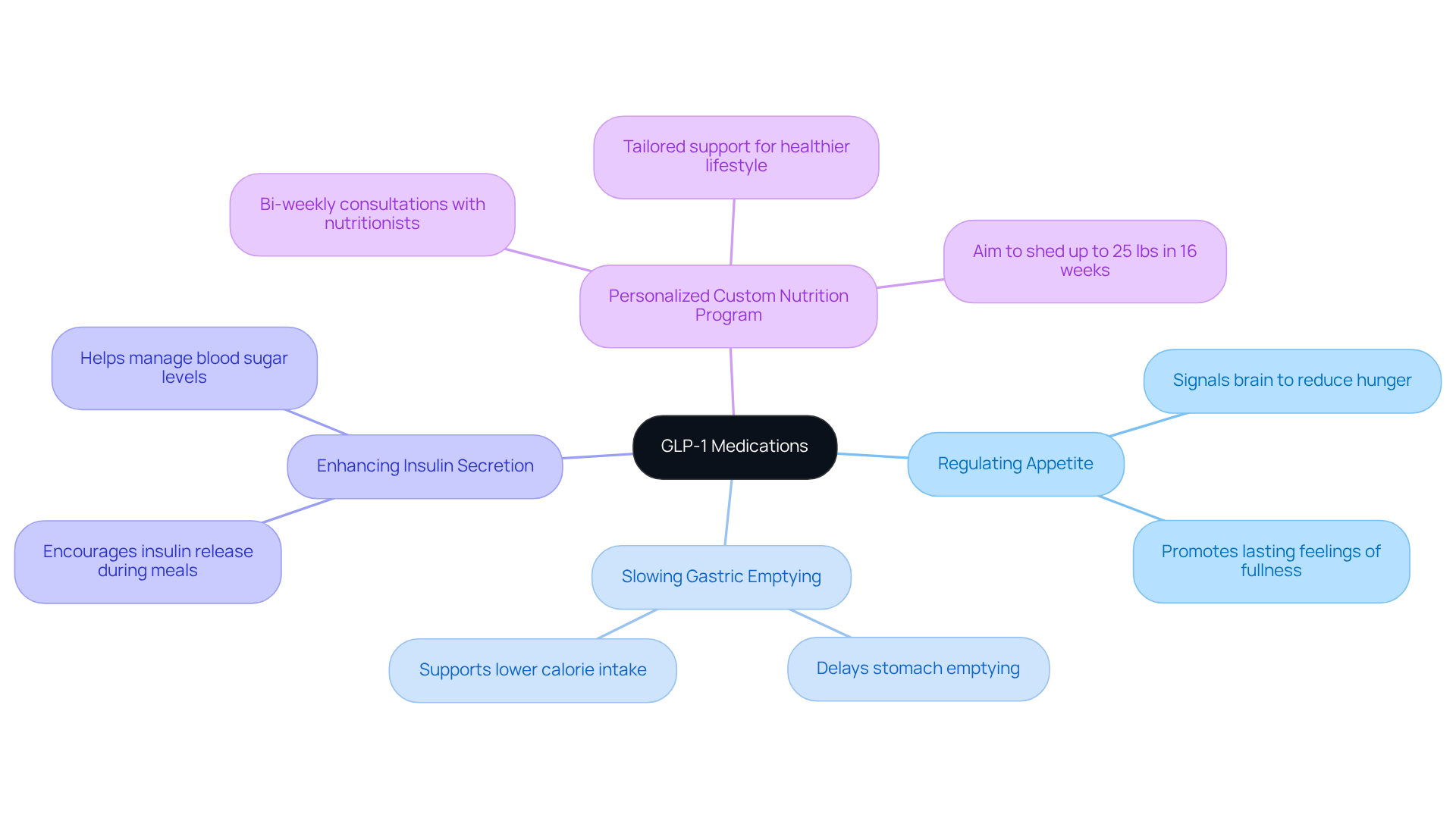 The central node represents GLP-1 medications, while the branches show how they work and the support program. Each mechanism is a key function, and the nutrition program is a complementary approach to achieving weight management goals.