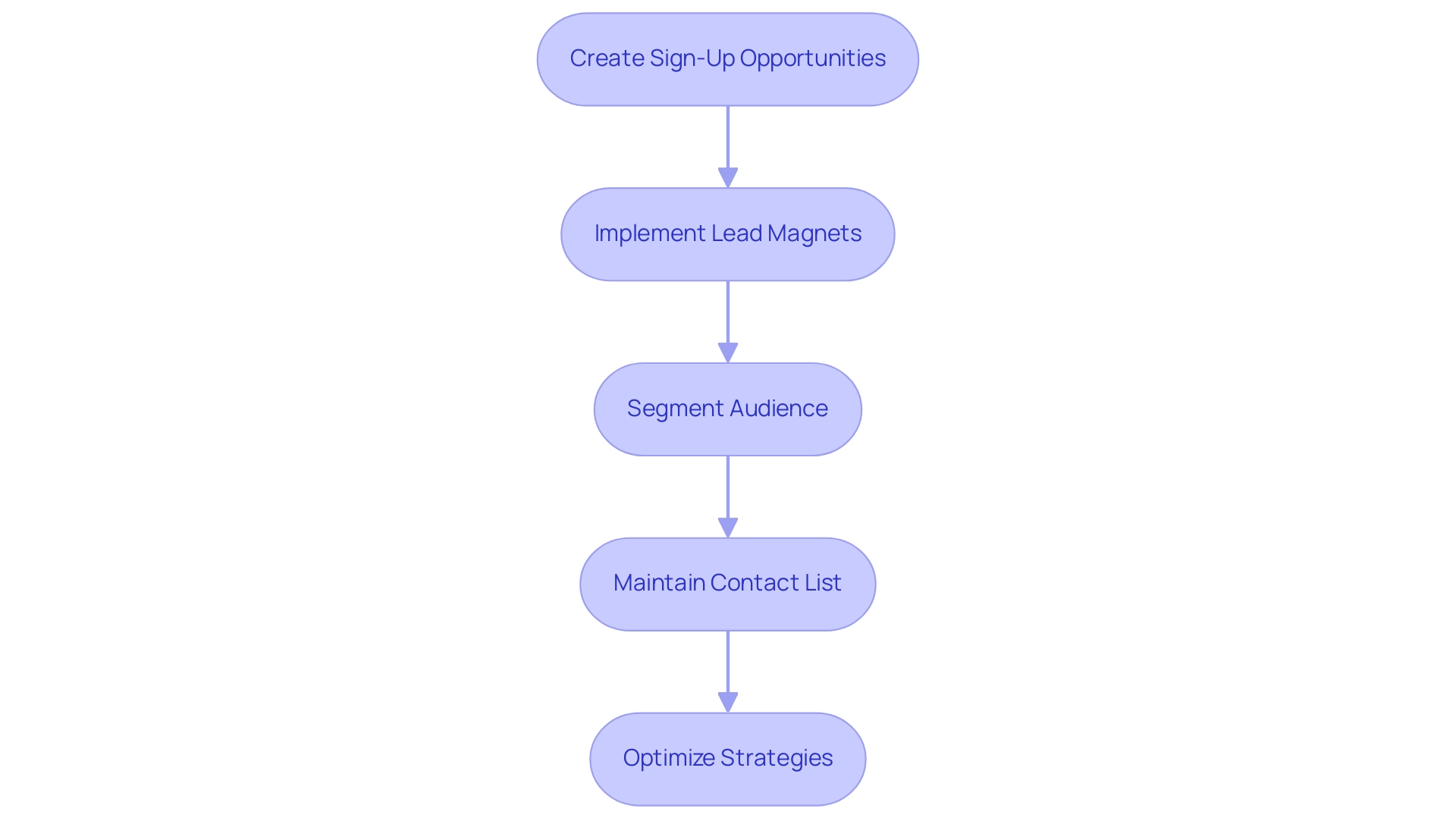 Each box represents a strategy step in the email audience management process, with arrows indicating the sequential flow of actions.