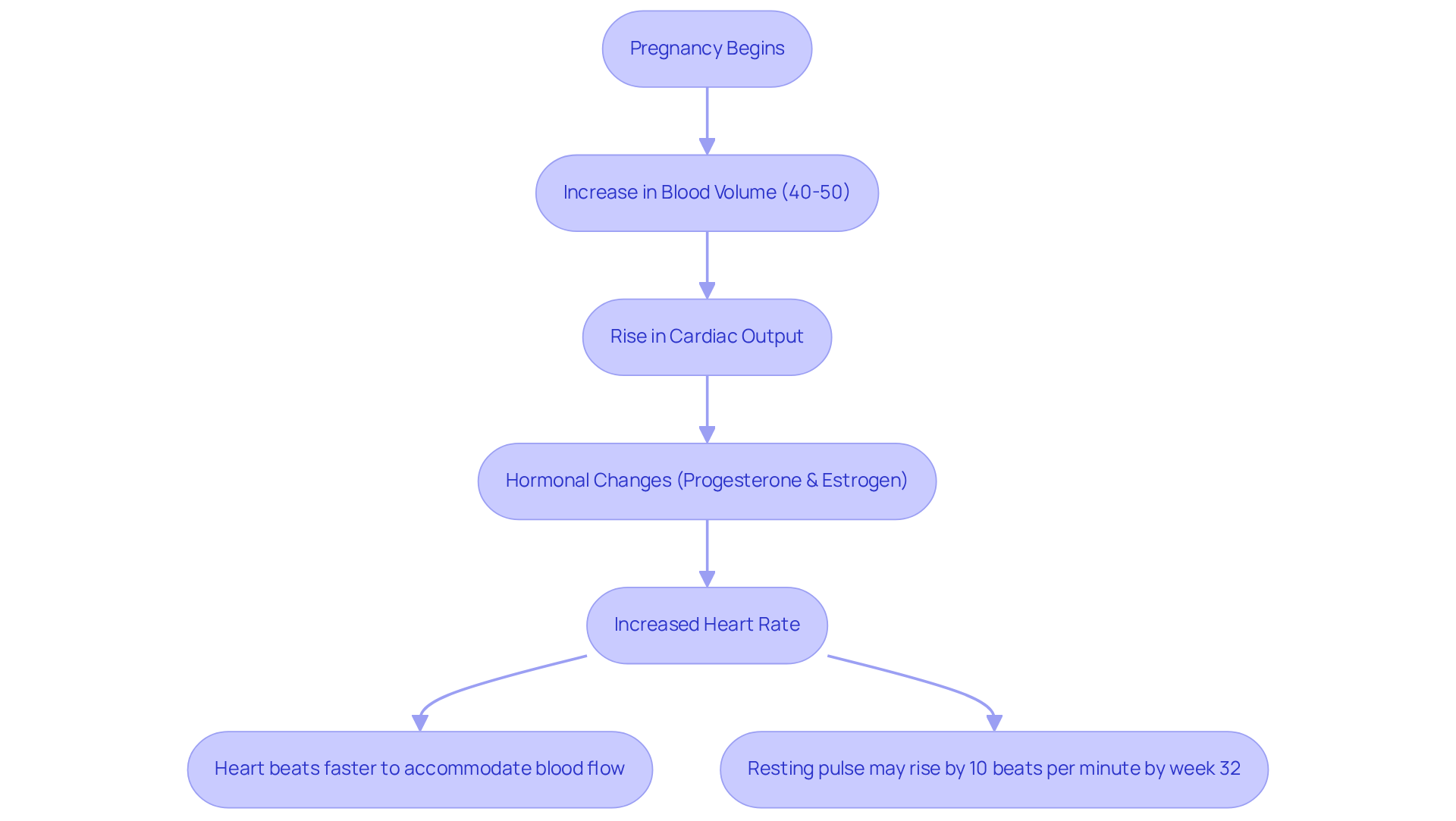 Follow the arrows to see how each physiological change leads to the next, illustrating how your heart adapts during pregnancy.