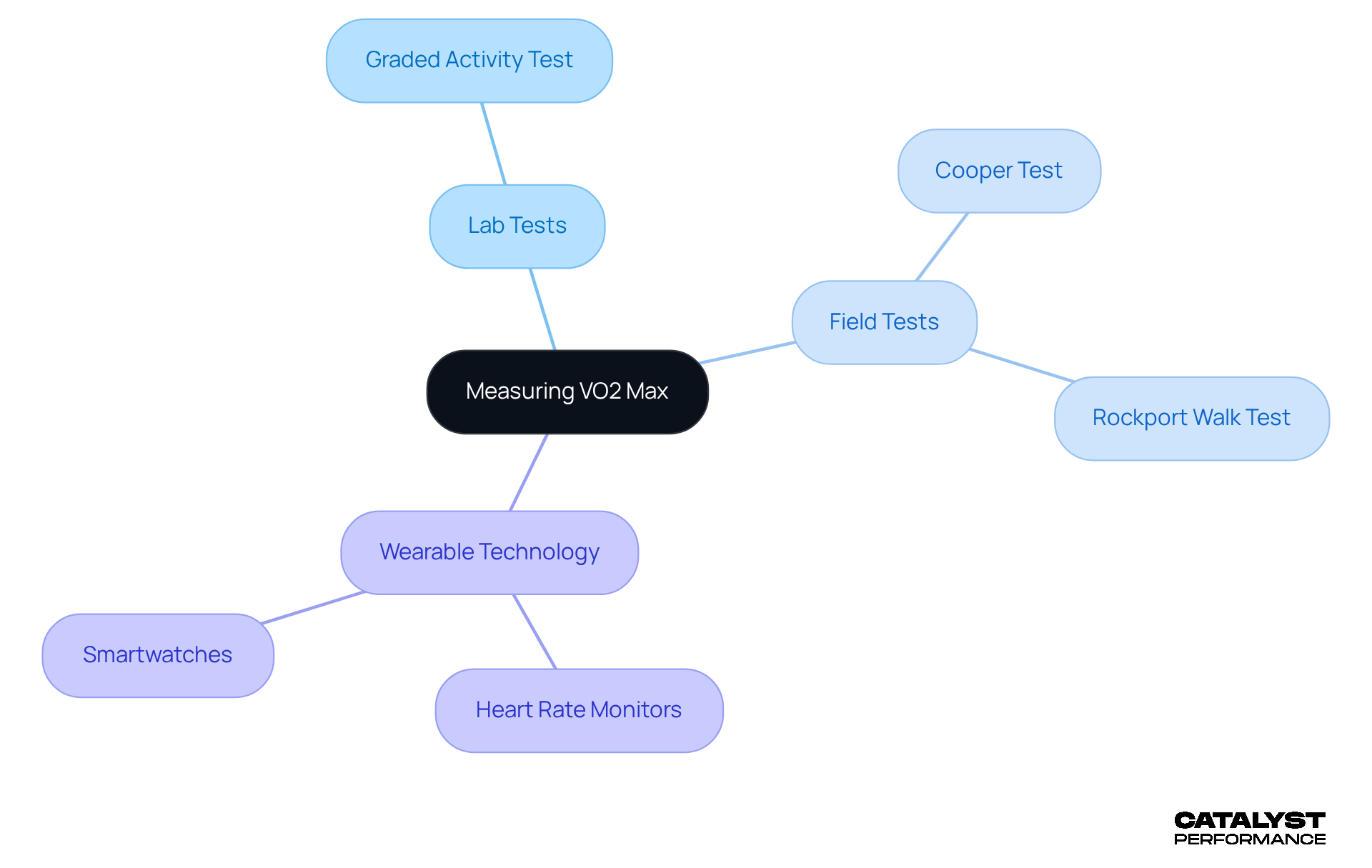 The center shows the main topic of VO2 Max measurement, with branches leading to different methods. Each branch represents a category of measurement, helping you see the options available for tracking your fitness.