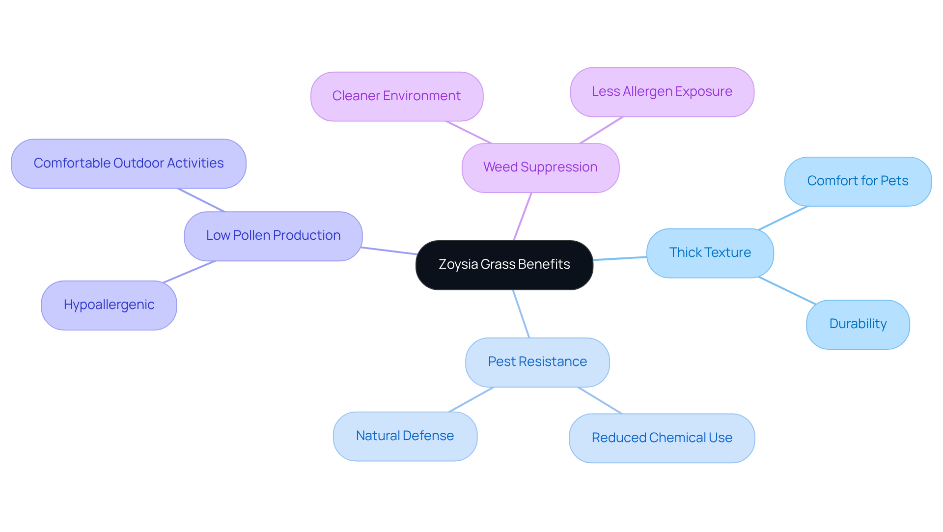 The central node represents Zoysia grass, and each branch shows a different benefit. Follow the branches to understand how Zoysia grass contributes to a healthier environment for pets.