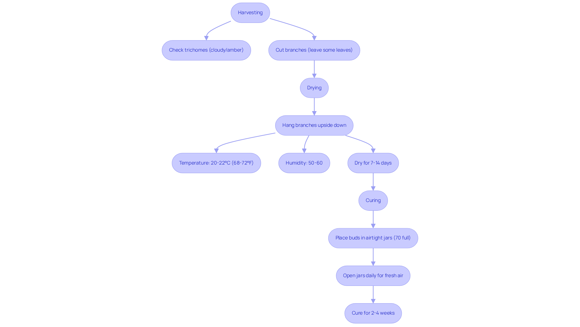 Each box represents a step in the process. Follow the arrows to see how to move from harvesting to drying, and finally to curing your cannabis for the best quality. Each box represents a step in the process. Follow the arrows to see how to move from harvesting to drying, and finally to curing your cannabis for the best quality.