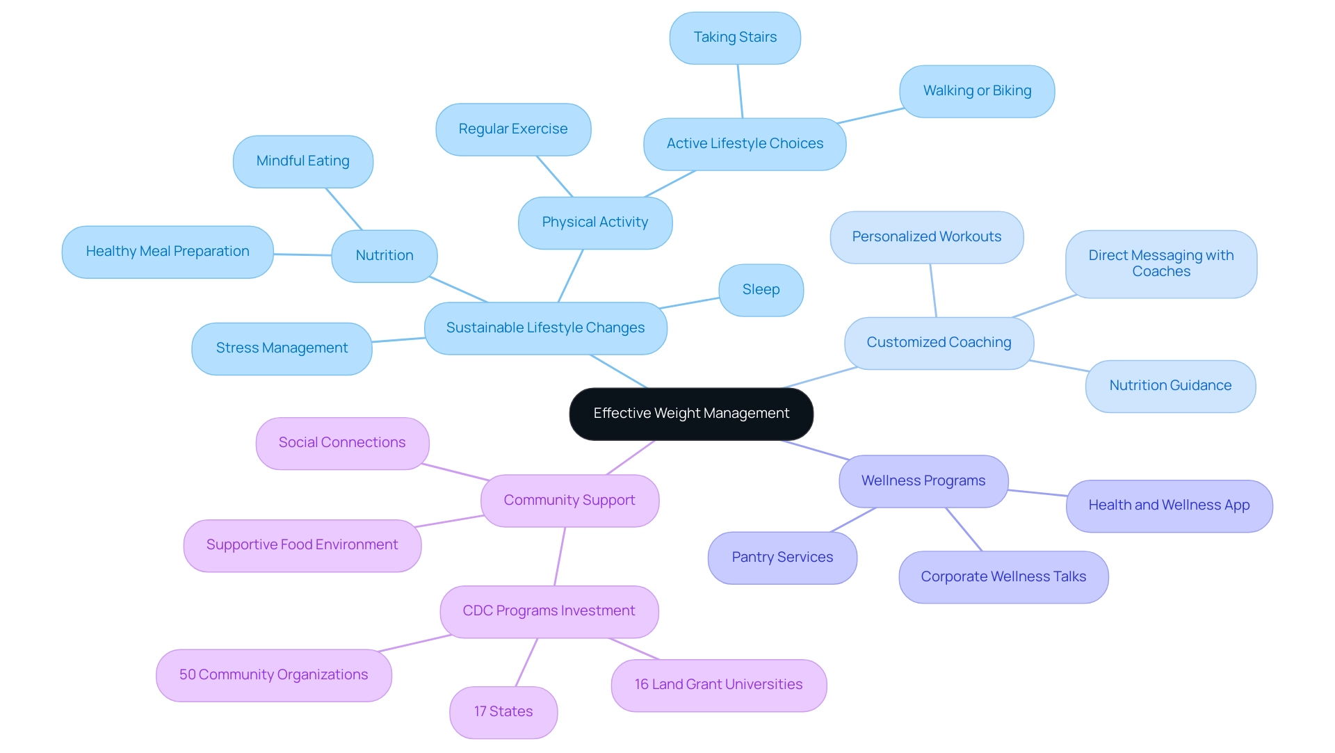 Each branch represents a key area of focus in weight management, with sub-branches detailing specific strategies and resources related to each area.