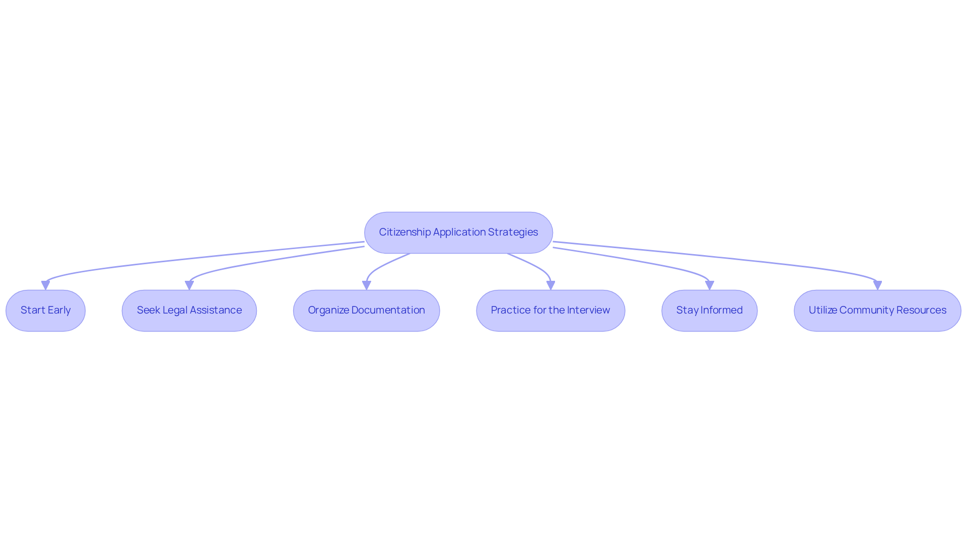 Each box represents a strategy to help you with your citizenship application. Follow the arrows to see how these strategies connect and support your journey.