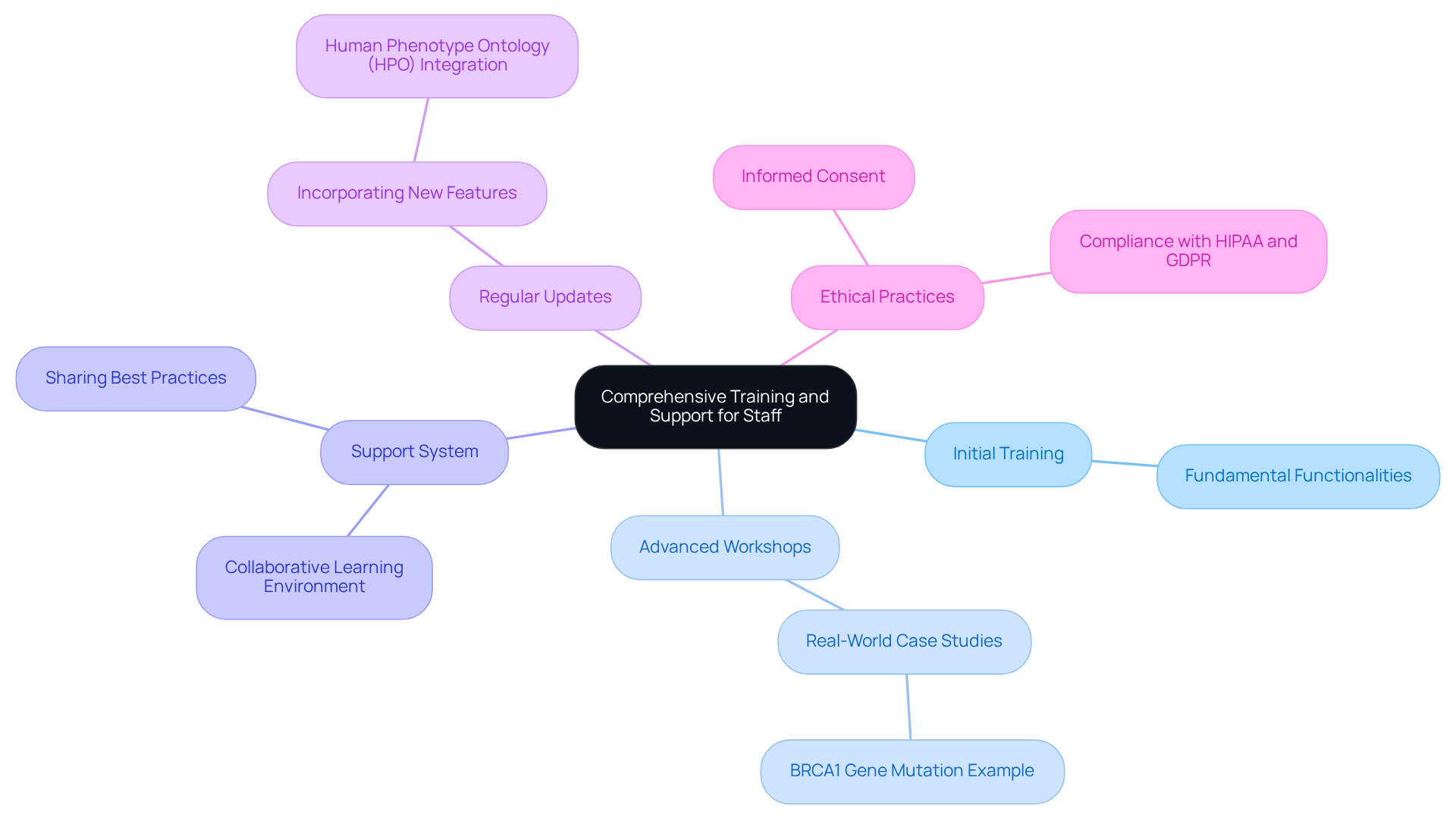 The center represents the overall training strategy, with branches showing different aspects of the training process. Each sub-branch provides more detail on how to implement effective training and support.
