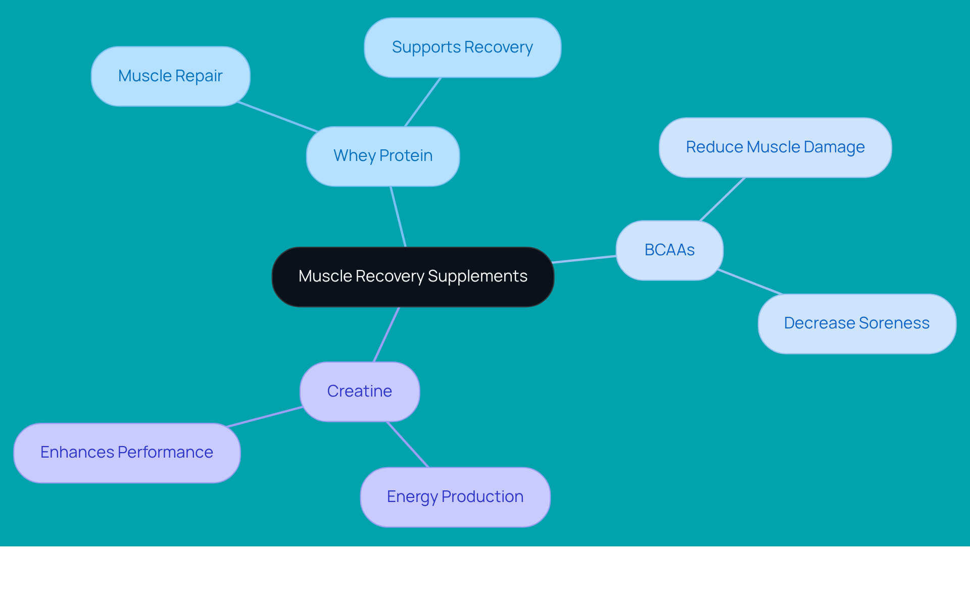 The center represents the main topic of muscle recovery supplements, with branches showing different types and their unique benefits. Follow the branches to see how each supplement contributes to recovery. The center represents the main topic of muscle recovery supplements, with branches showing different types and their unique benefits. Follow the branches to see how each supplement contributes to recovery.