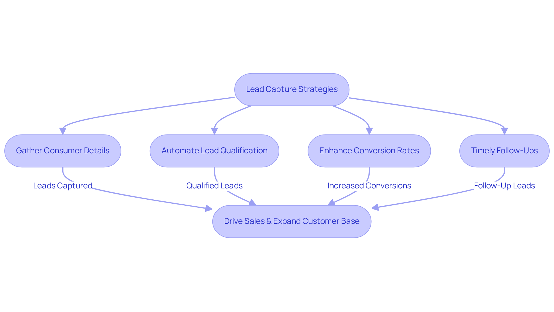 Each box represents a crucial step in the lead capture process. Follow the arrows to understand how these strategies work together to drive sales and expand the customer base.
