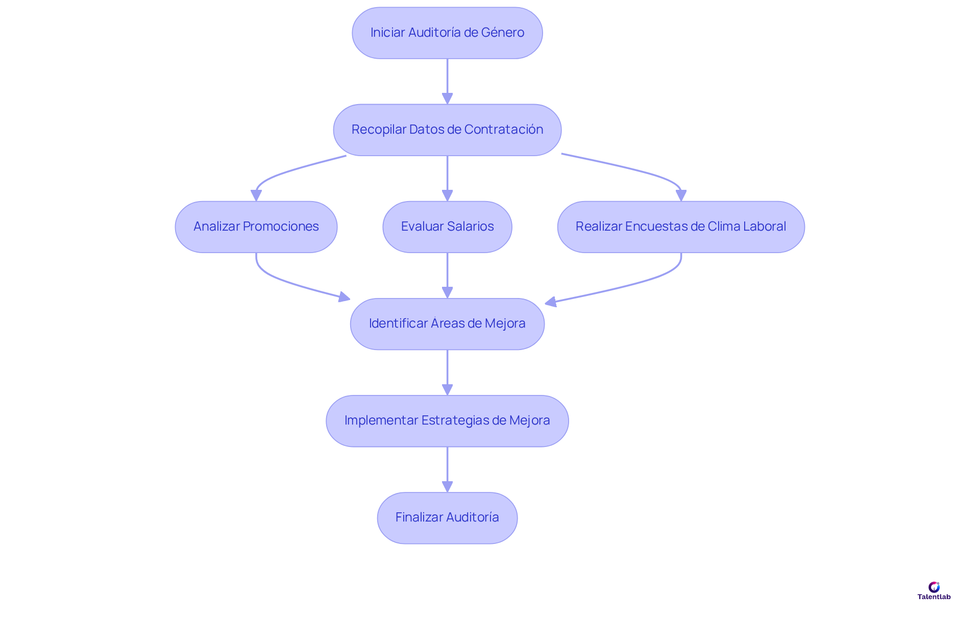 Cada cuadro representa un paso en el proceso de auditoría. Sigue las flechas para entender cómo se conectan las acciones y decisiones en la evaluación de la equidad de género en las organizaciones.