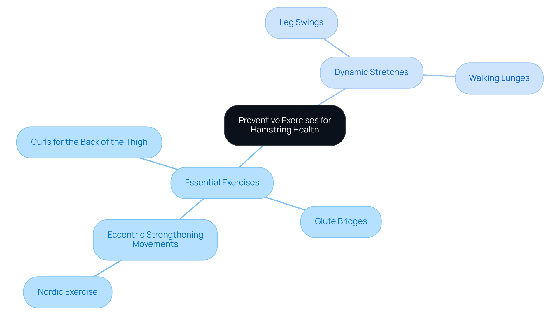 This mindmap shows how different exercises contribute to hamstring health. Start at the center with the main topic, then follow the branches to see essential exercises and dynamic stretches that help prevent injuries and improve performance.