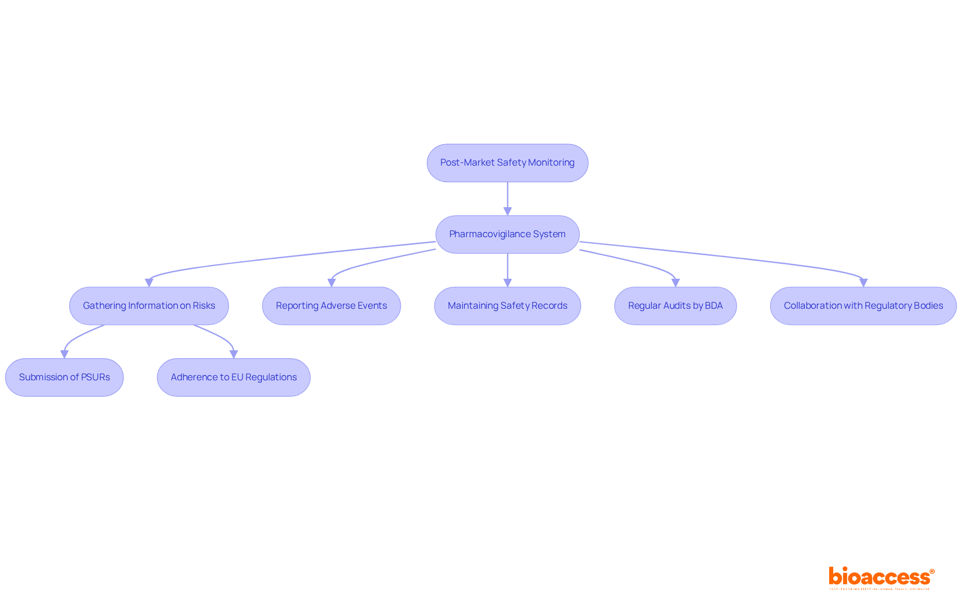 This flowchart outlines the steps necessary for ensuring compliance with regulatory requirements in Bulgaria. Each box represents a key action or requirement, and the arrows indicate the order in which these steps should be followed.