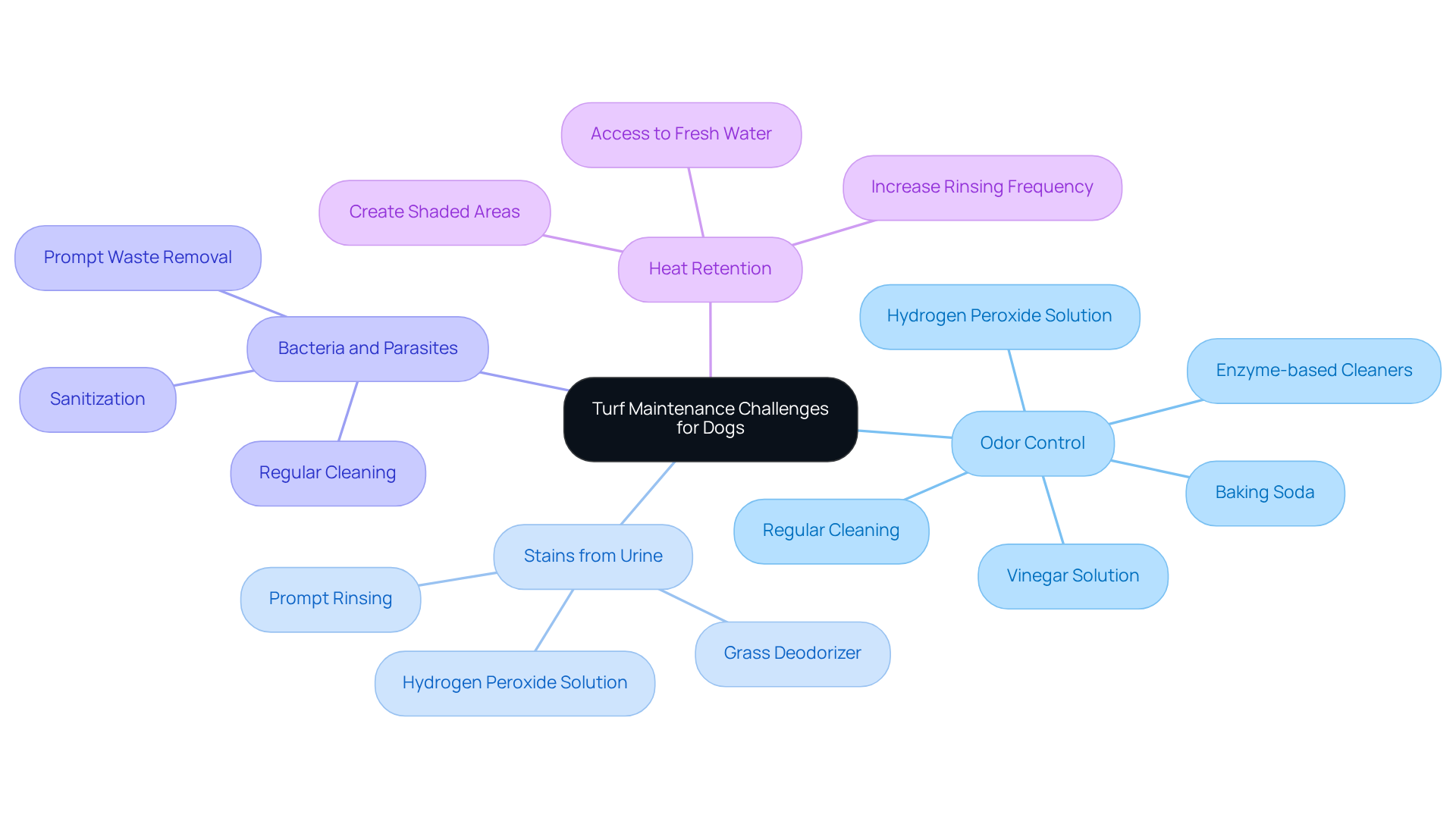 The central node represents the overall topic, while each branch shows a specific challenge. Follow the branches to see the strategies that can help solve each issue, making it easier to understand how to maintain a safe and enjoyable space for your pets.