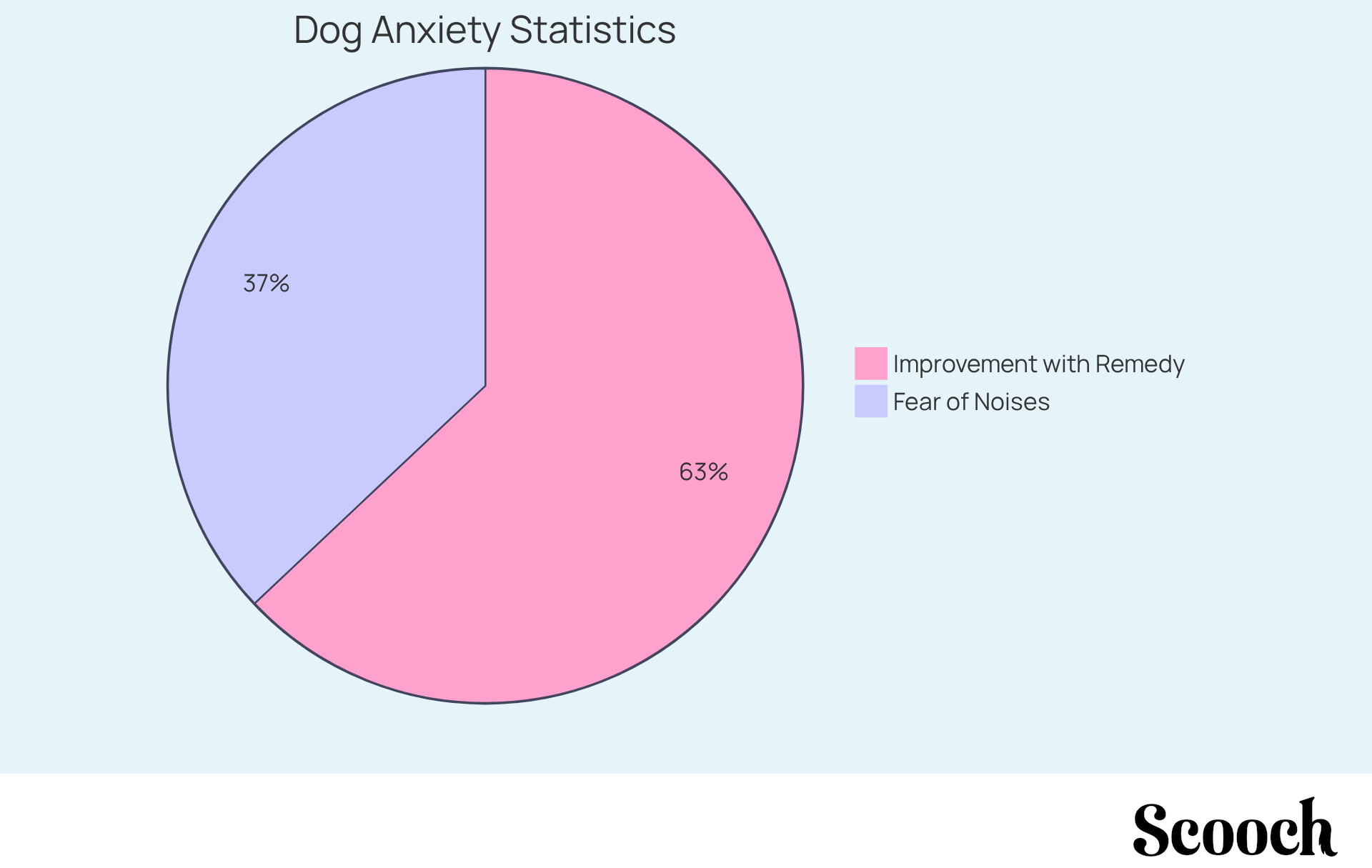 The blue slice shows the percentage of dogs that are afraid of noises, while the green slice represents those that improved with Rescue Remedy. The bigger the slice, the more significant the issue or improvement.