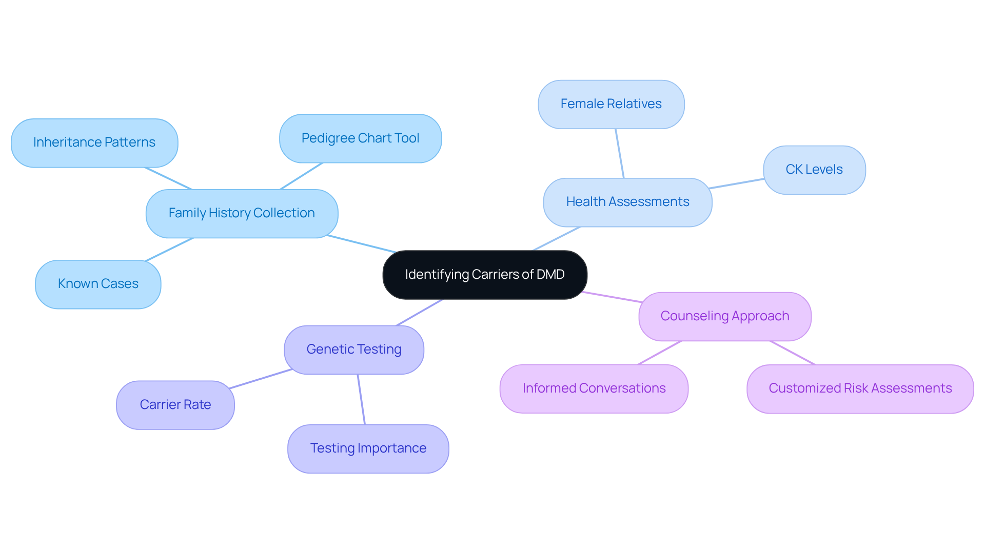This mindmap starts with the main goal of identifying DMD carriers at the center. Each branch represents a crucial aspect of the process, showing how family history, health assessments, and genetic testing contribute to understanding DMD inheritance. Follow the branches to explore each area and its significance.