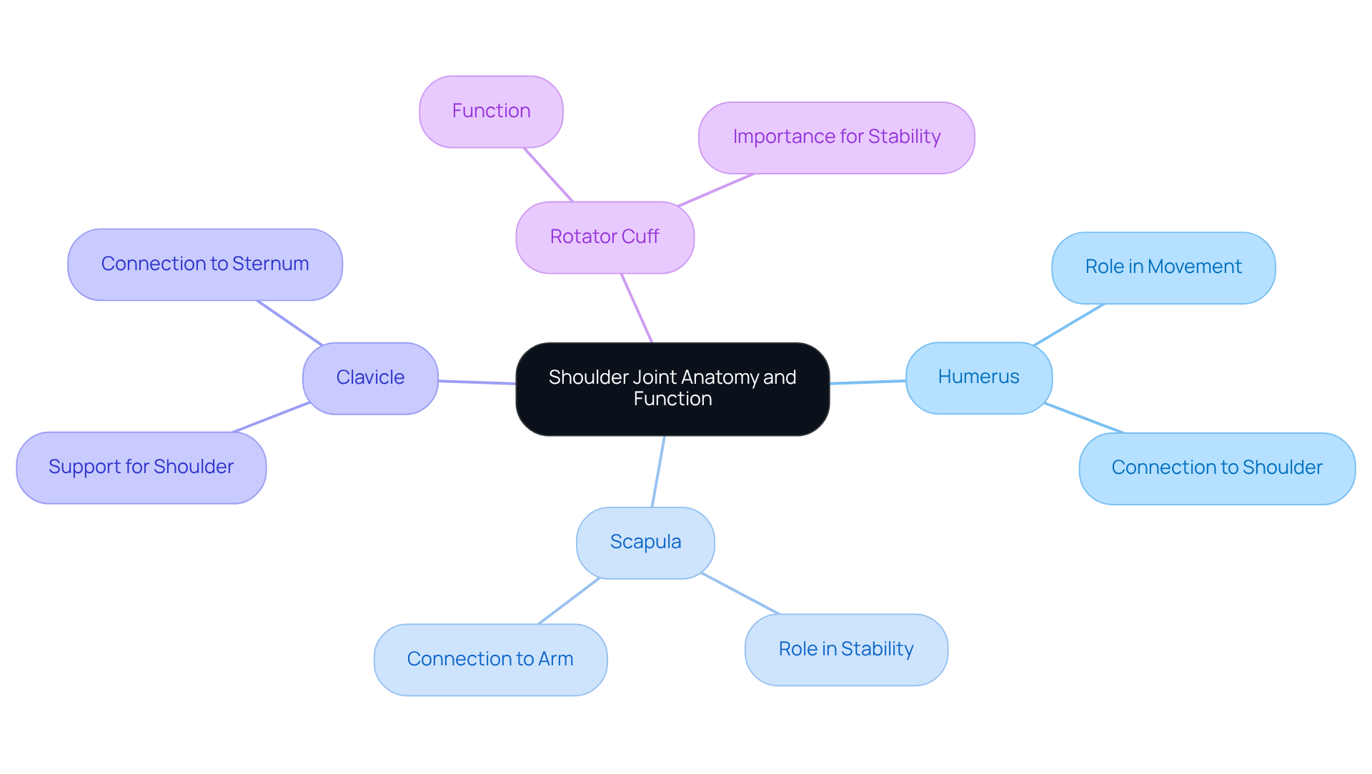 This mindmap starts with the shoulder joint at the center. Each branch represents a key component of the shoulder, showing how they work together for movement and stability. Follow the branches to learn about the bones and muscles that make your shoulder function smoothly.