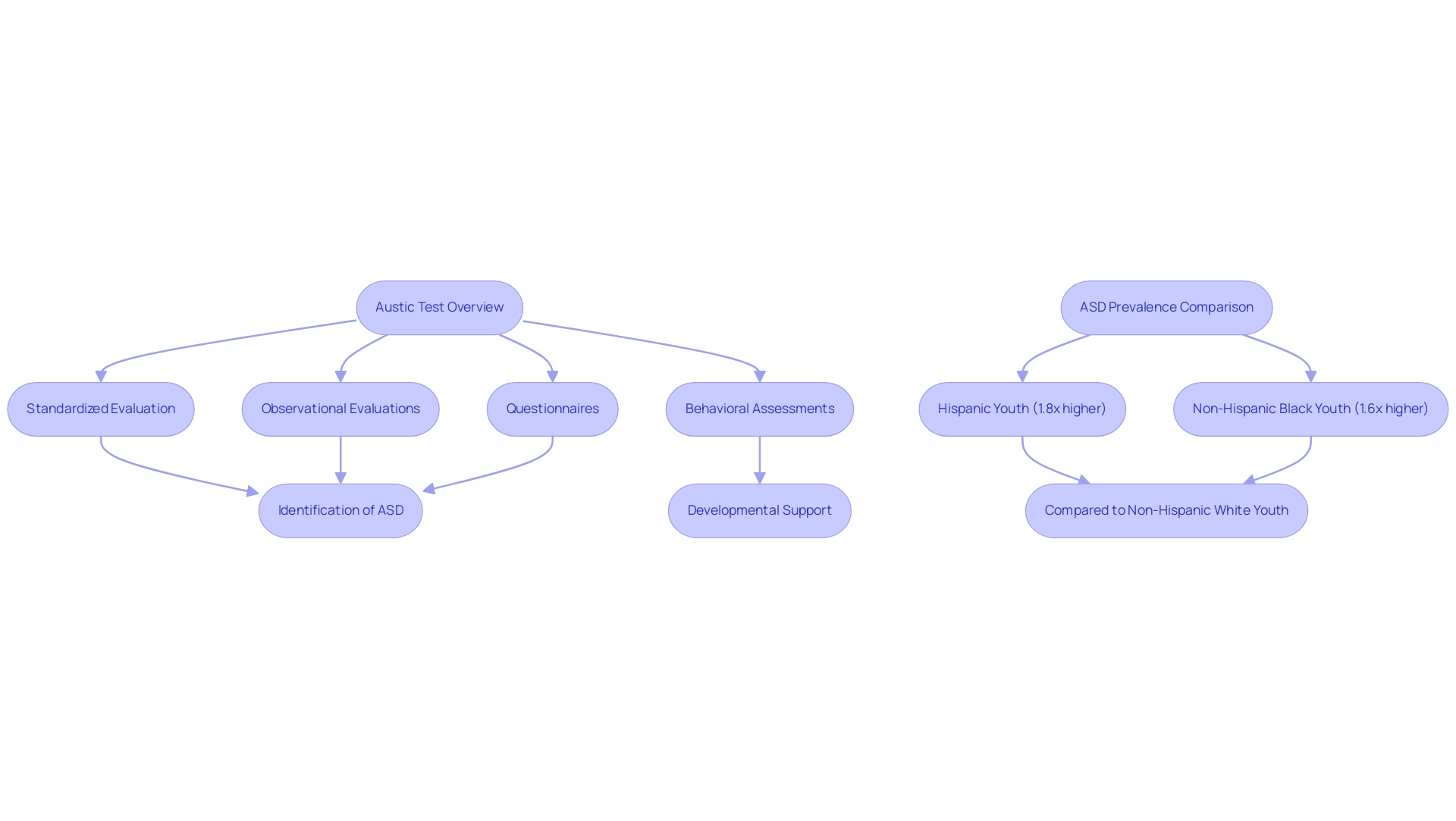 Flowchart components represent the stages of the Austic Test process, while side boxes illustrate ASD prevalence comparisons among different demographic groups.