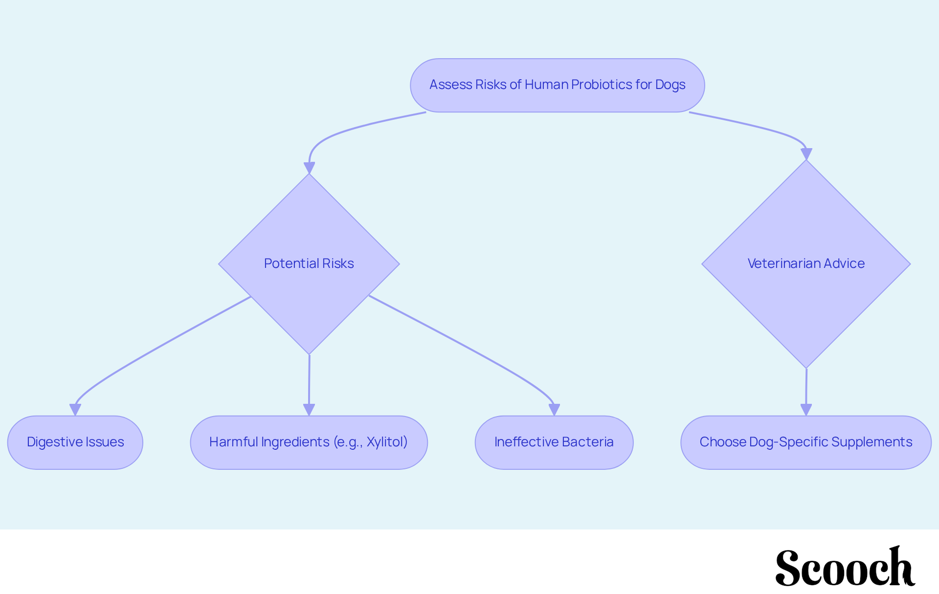 Follow the flowchart to understand the risks associated with human probiotics for dogs. The red boxes highlight potential dangers, while the green box shows the recommended safe choice.