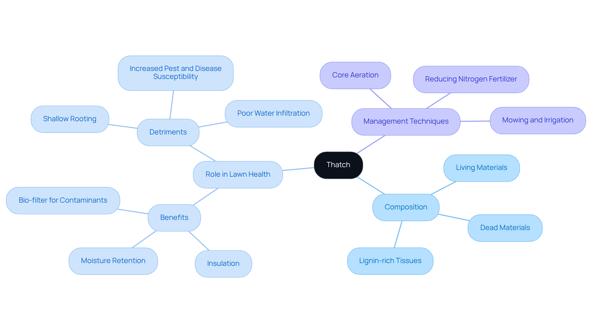The central node represents thatch, with branches showing its composition, how it affects lawn health, and ways to manage it. Each branch helps you see the connections and importance of each aspect.