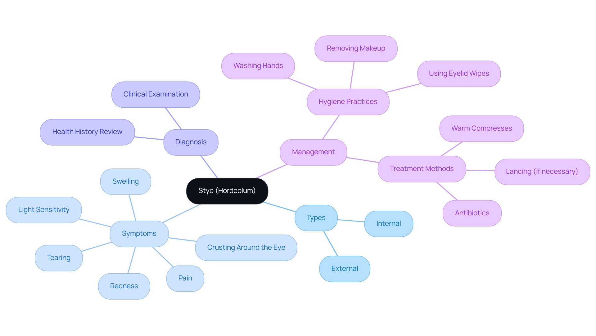 The central node represents what a stye is, while the branches show different aspects like types, symptoms, and how to manage them. Each color-coded branch helps you quickly identify related information. The central node represents what a stye is, while the branches show different aspects like types, symptoms, and how to manage them. Each color-coded branch helps you quickly identify related information.