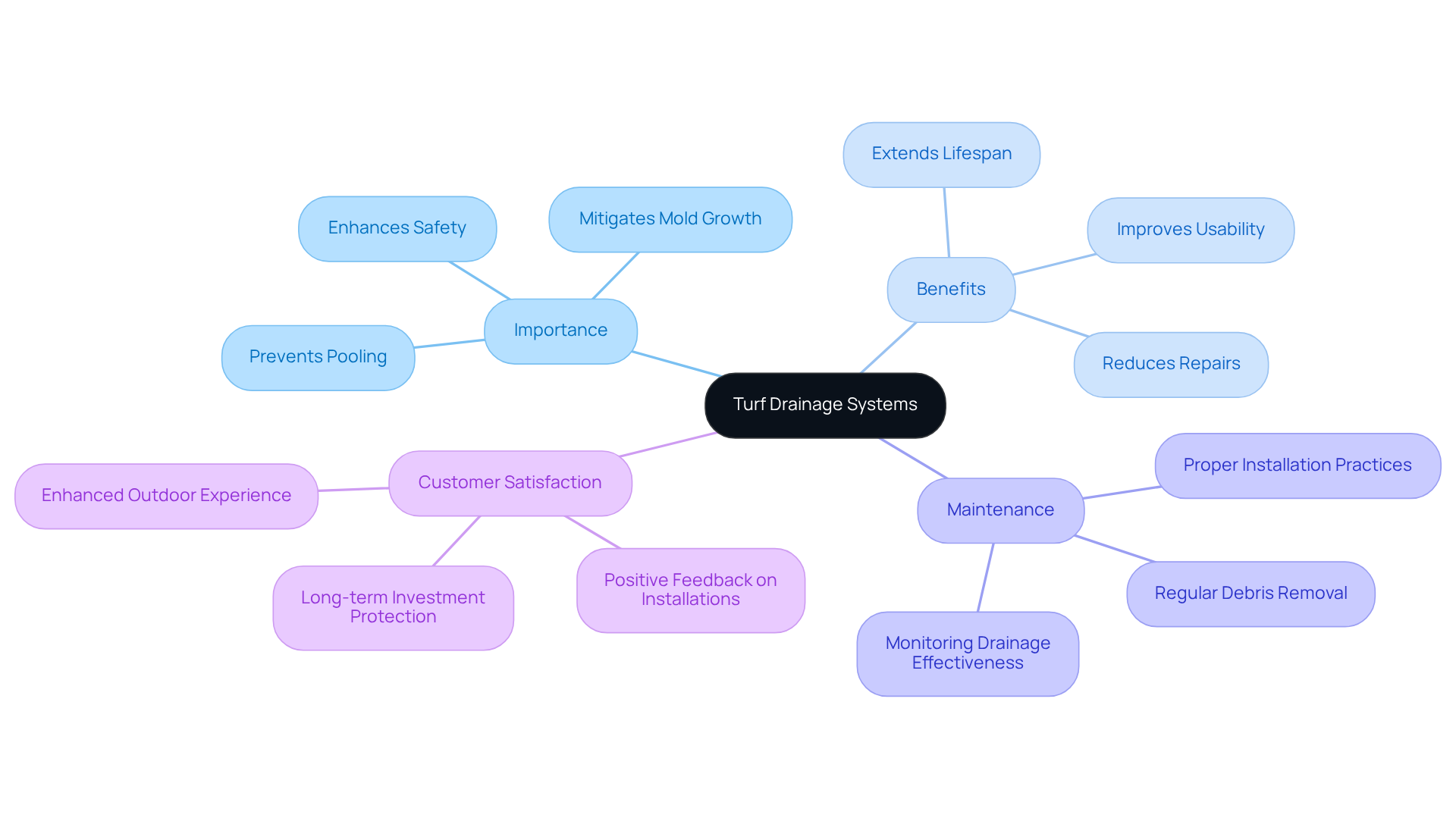 The central node represents the main topic, while the branches show related aspects. Each branch highlights a different area of focus, helping you understand why turf drainage systems are crucial for synthetic grass environments. The central node represents the main topic, while the branches show related aspects. Each branch highlights a different area of focus, helping you understand why turf drainage systems are crucial for synthetic grass environments.