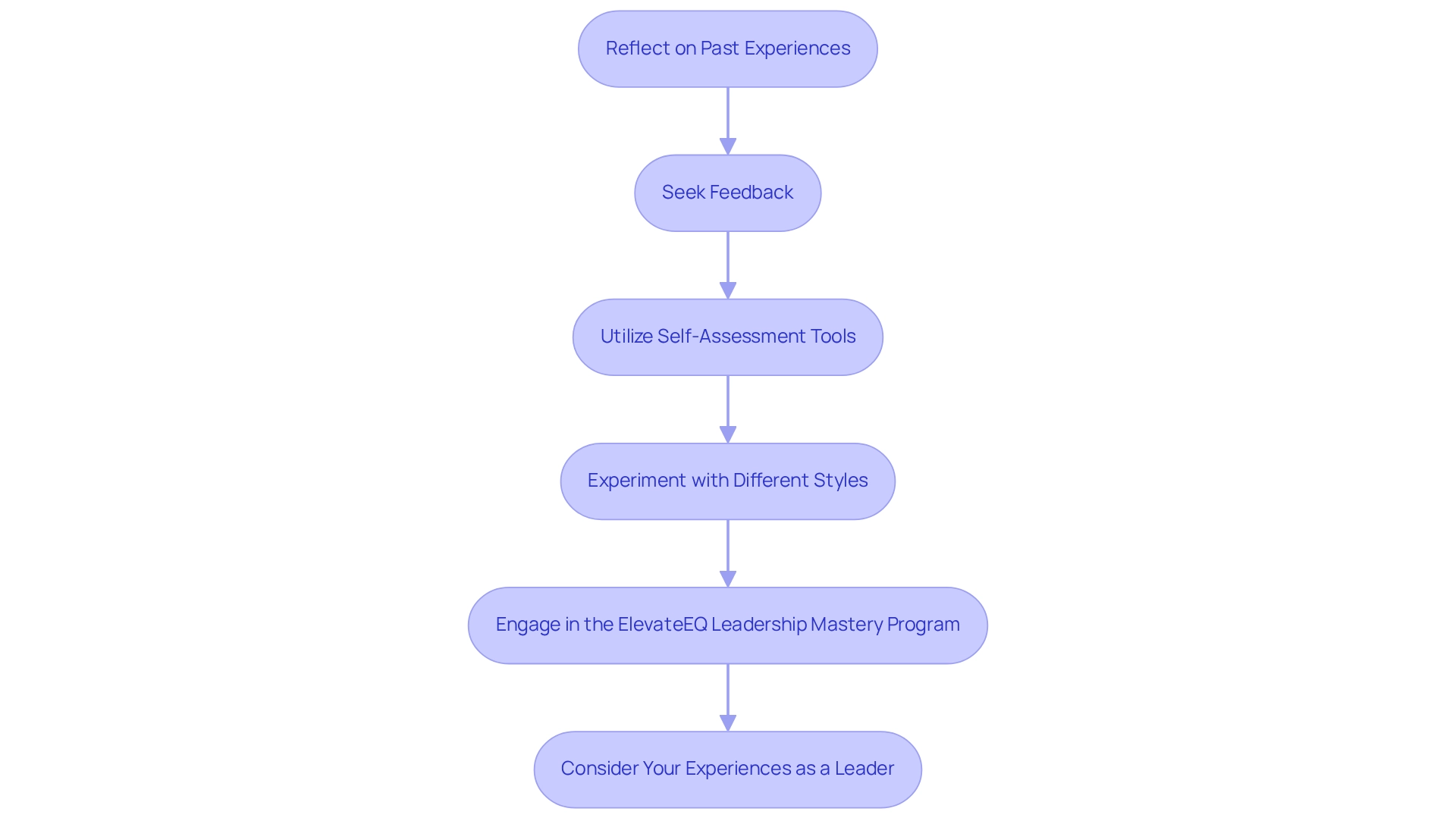 Each box represents a step in the self-assessment process; colors differentiate the types of actions (e.g., reflection, feedback, experimentation).