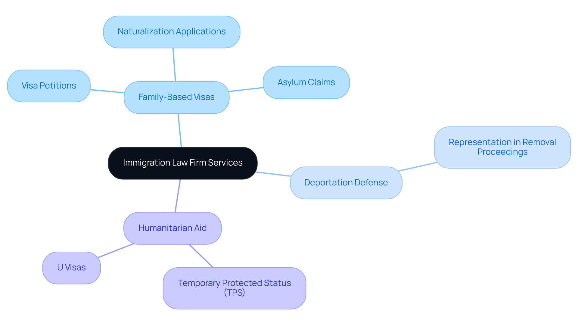 Business Immigration Law Firms vs. General: Key Insights for Immigrants