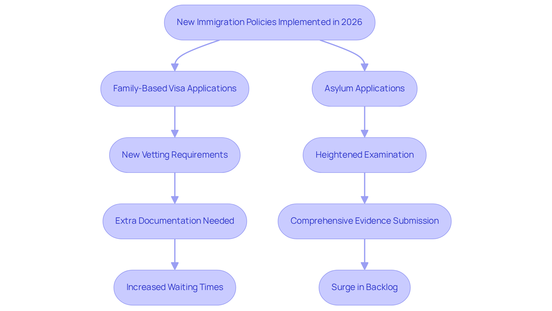 This flowchart shows the steps involved in the new immigration policies. Follow the arrows to see how each step leads to delays and challenges for families and asylum seekers. This flowchart shows the steps involved in the new immigration policies. Follow the arrows to see how each step leads to delays and challenges for families and asylum seekers.
