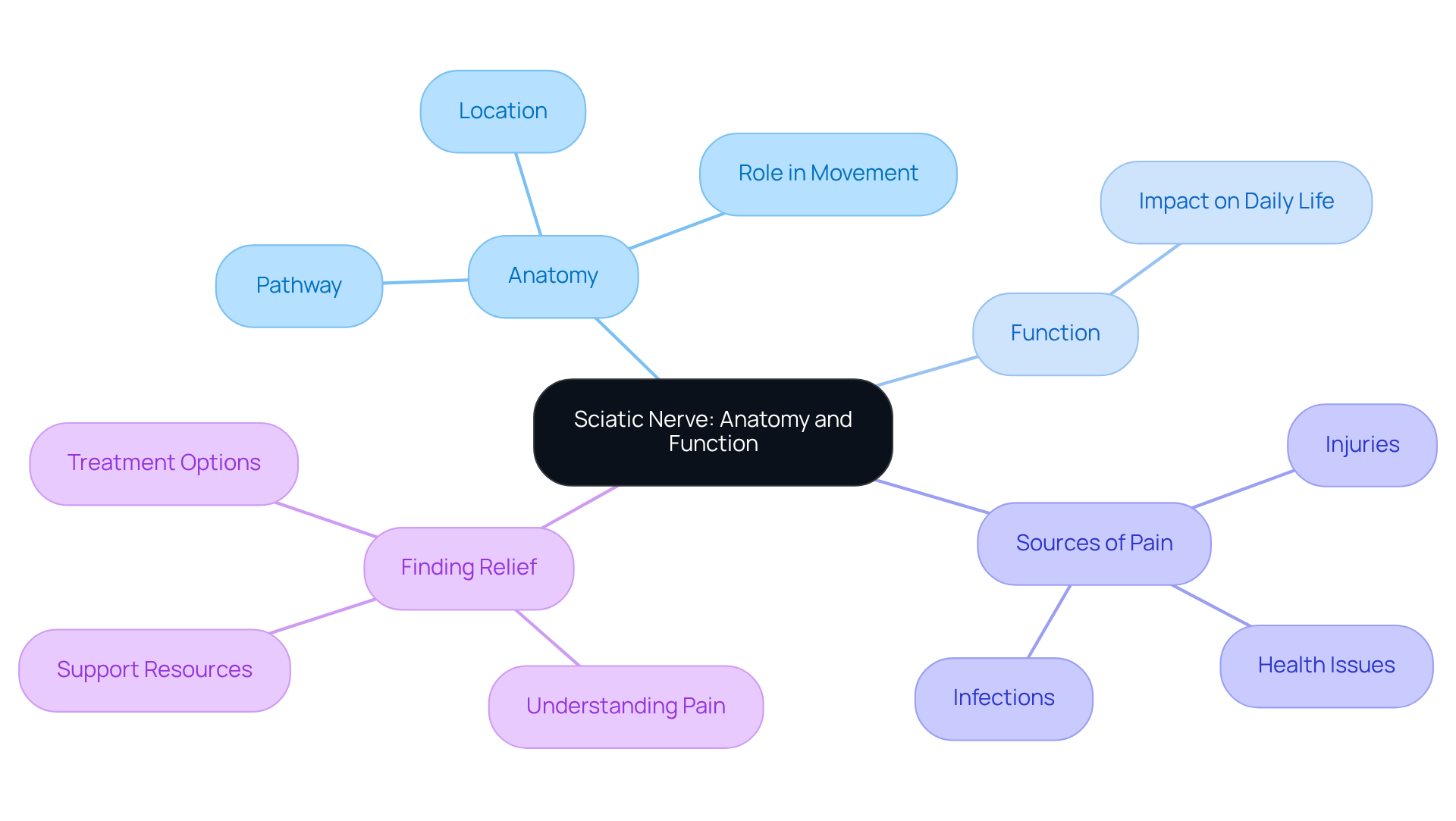 This mindmap starts with the sciatic nerve at the center and branches out to show its anatomy, function, sources of pain, and ways to find relief. Each branch represents a key aspect of understanding the sciatic nerve and how it affects your life. This mindmap starts with the sciatic nerve at the center and branches out to show its anatomy, function, sources of pain, and ways to find relief. Each branch represents a key aspect of understanding the sciatic nerve and how it affects your life.